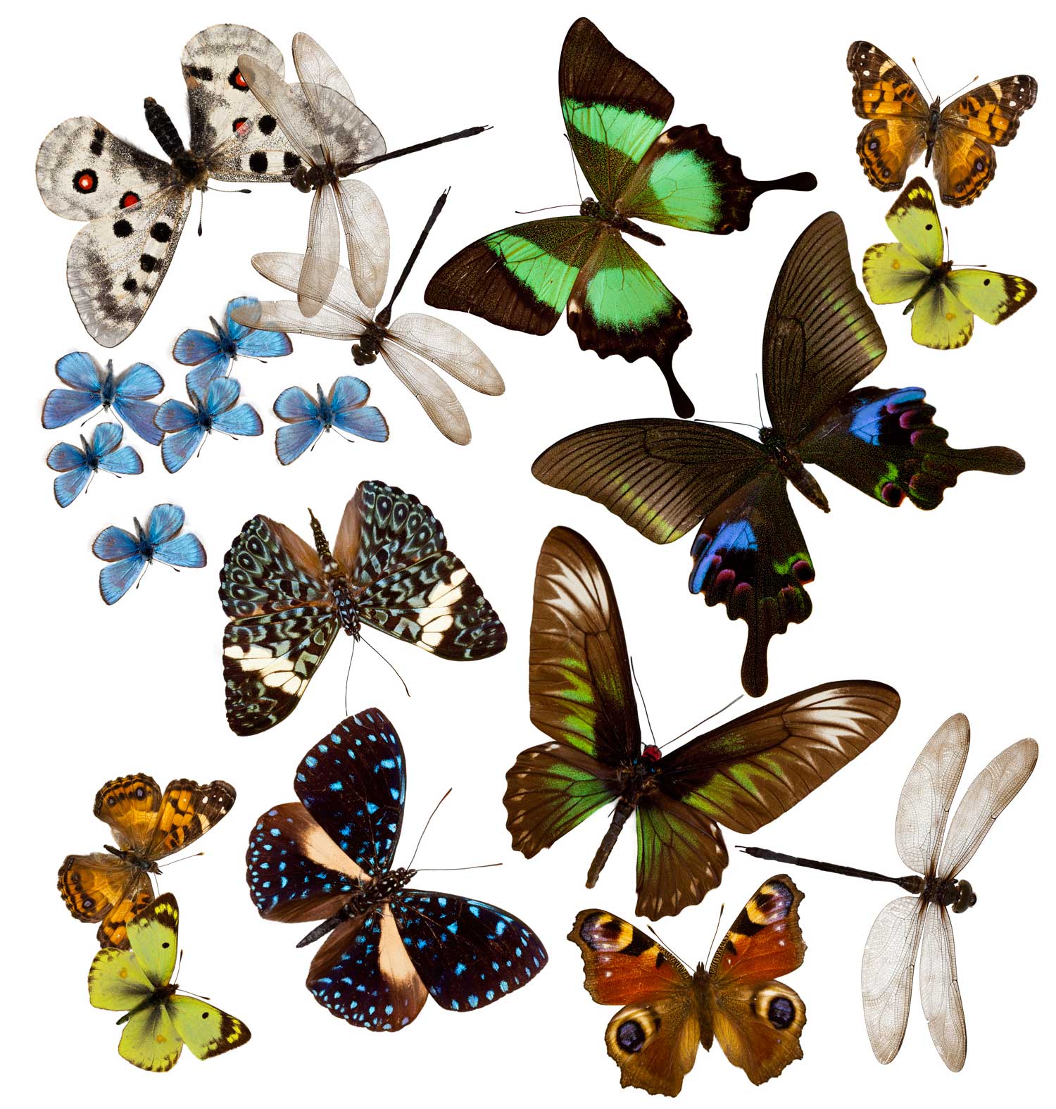 MKB Solbacken - Malmö - Emma Gunnarsson