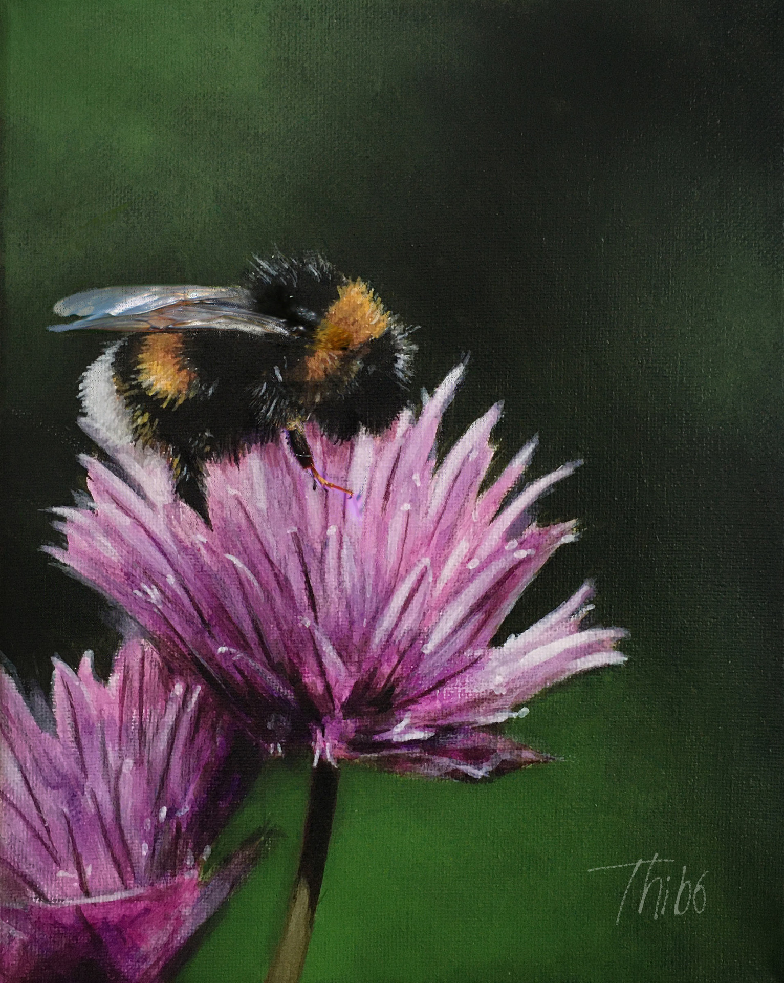 Nature - robert thibault