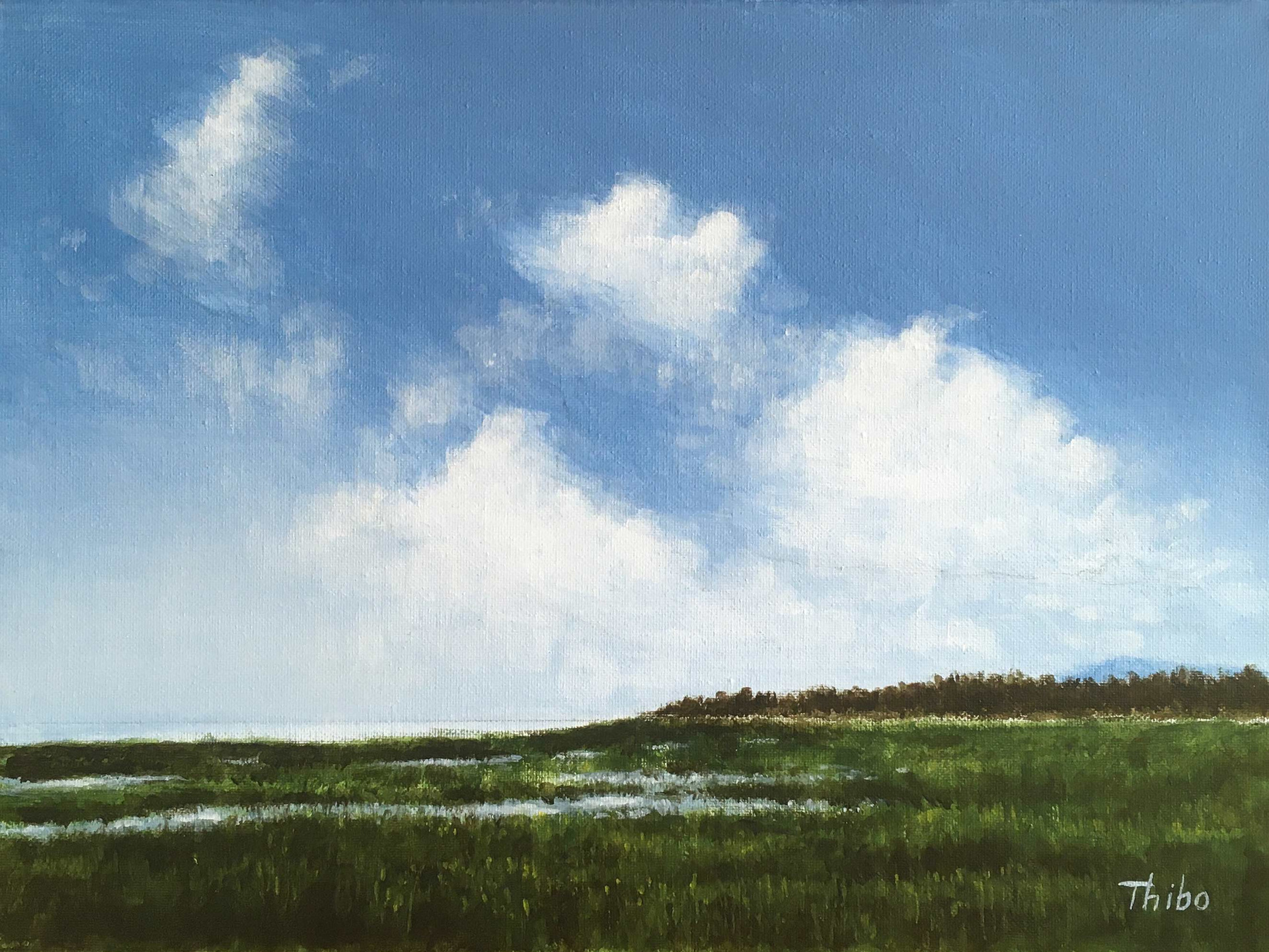 Nature - robert thibault