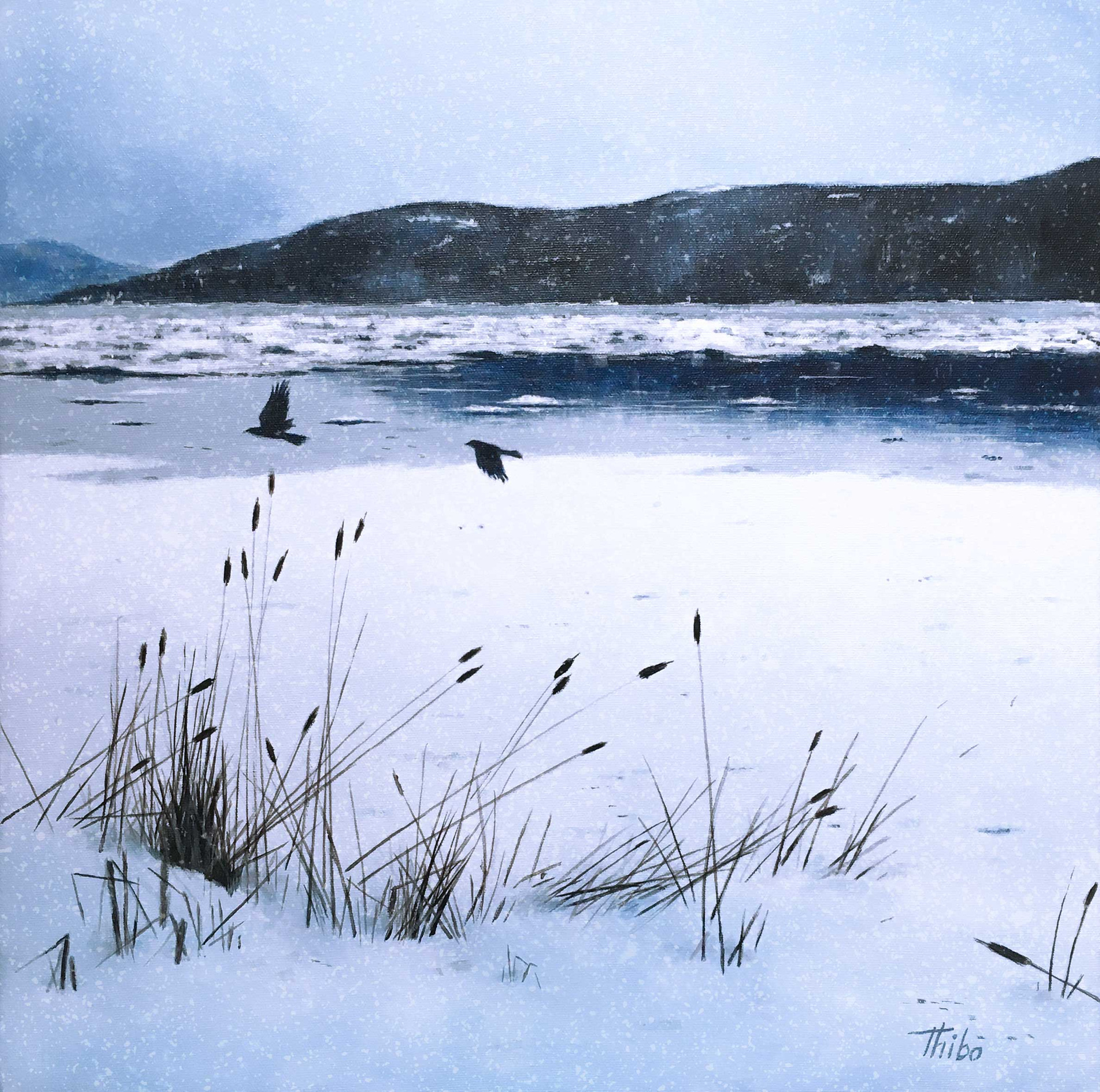 Nature - robert thibault