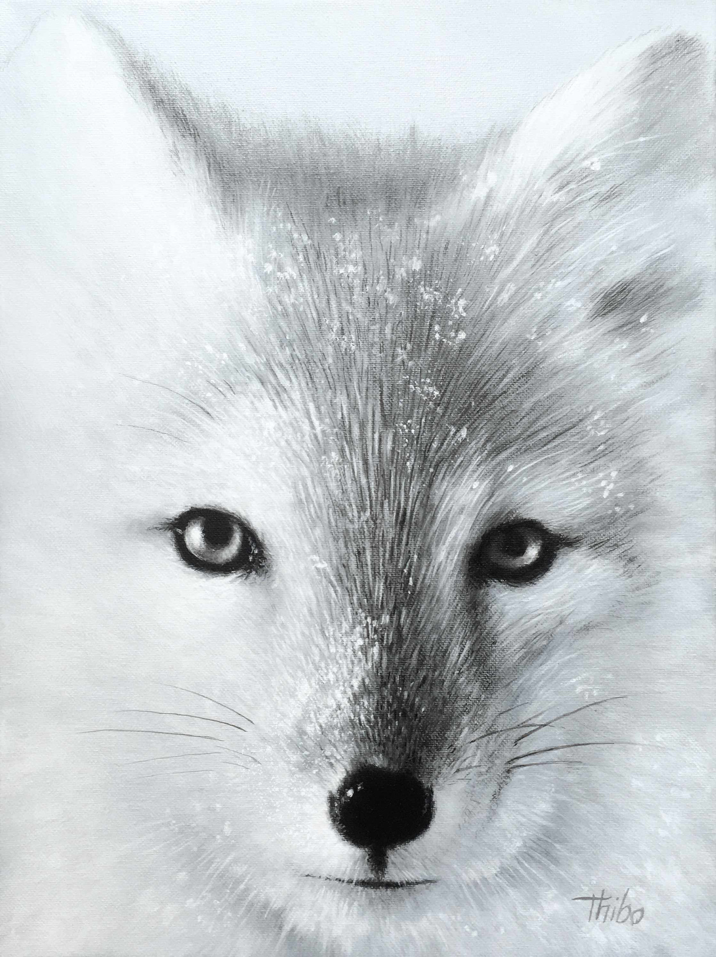 Nature - robert thibault