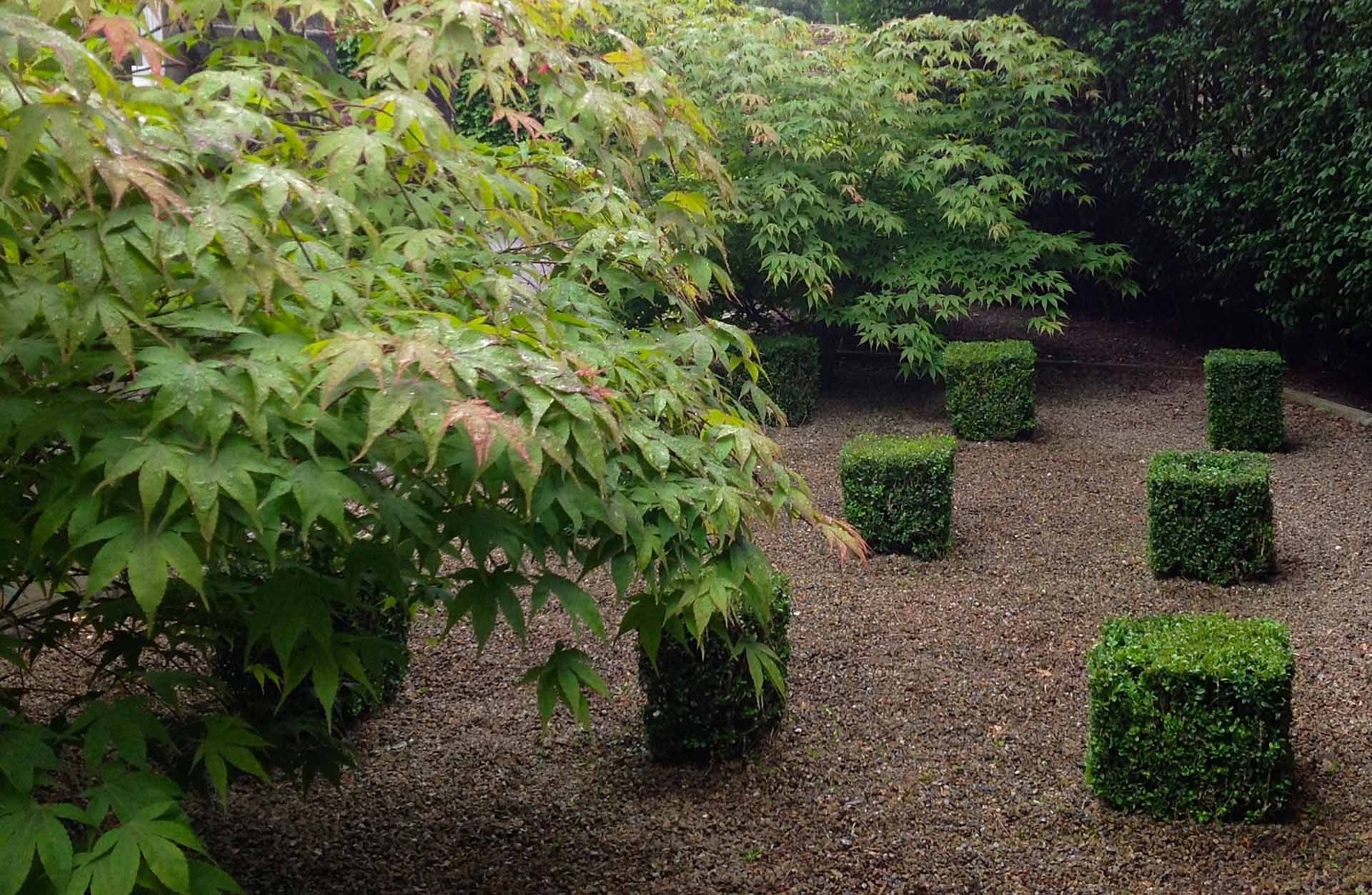 our approach - plants by design