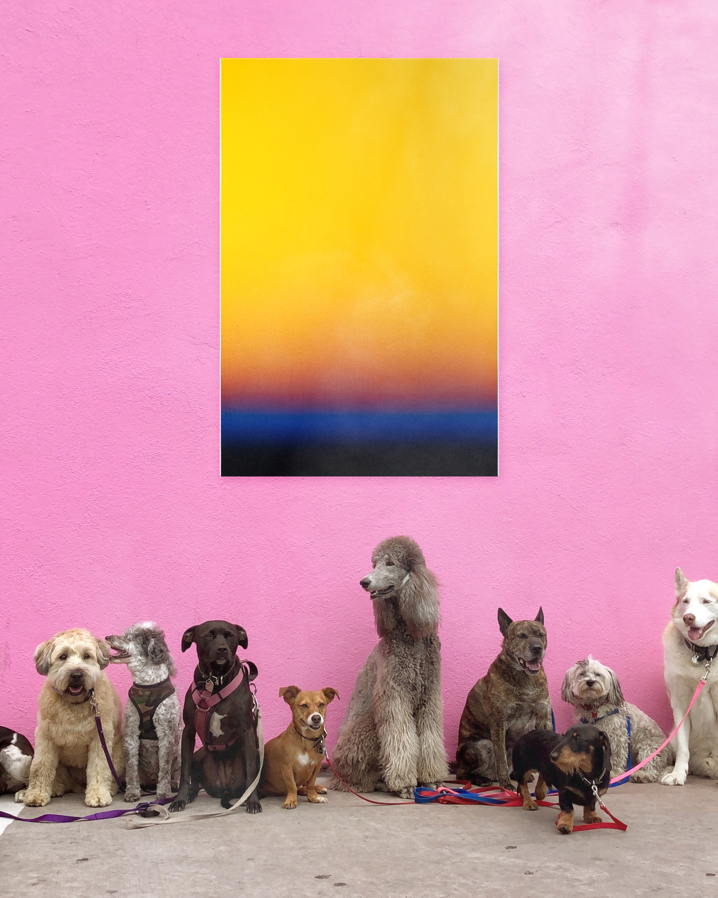 Michael Hon - Painting