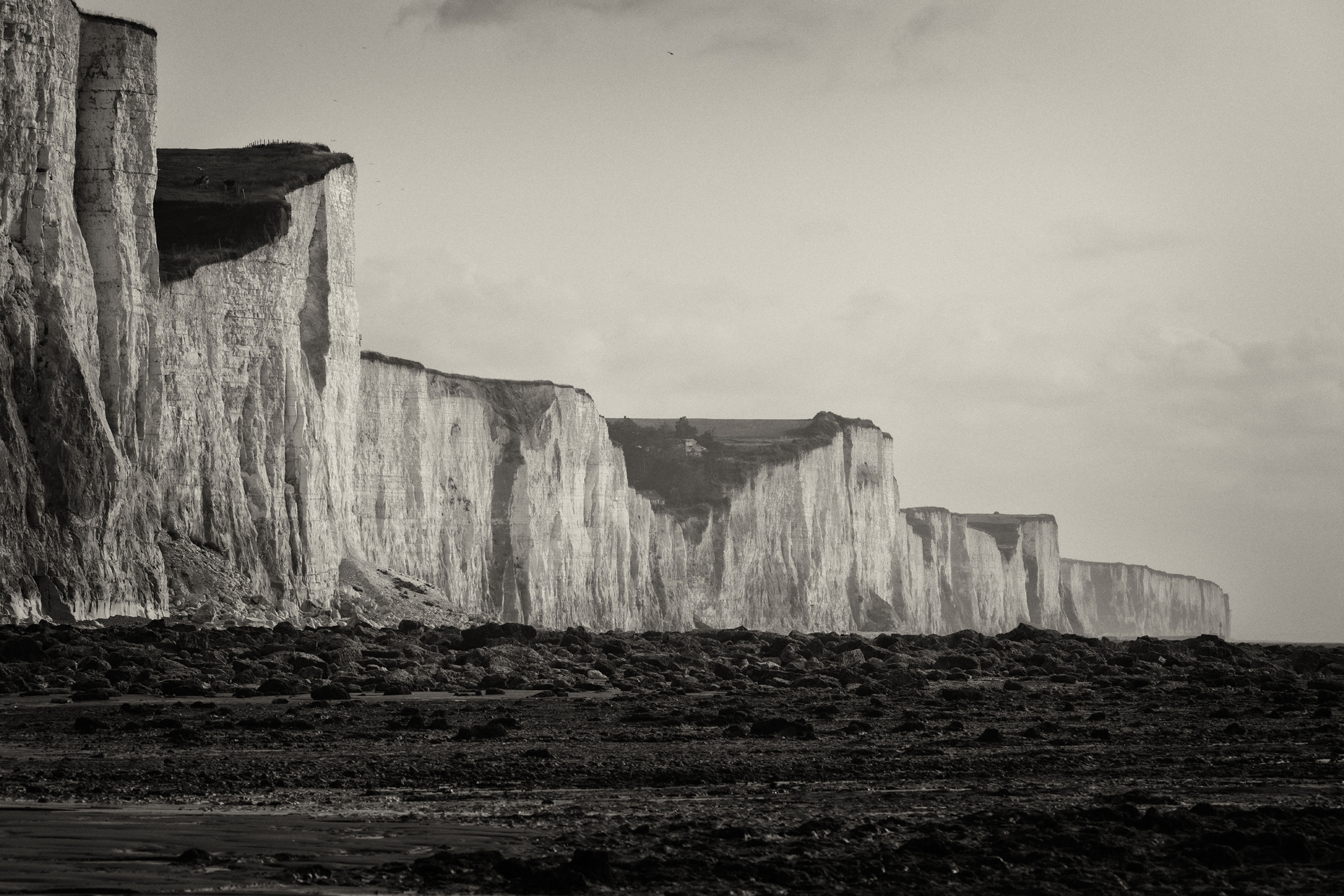 Thomas Dorn Photography