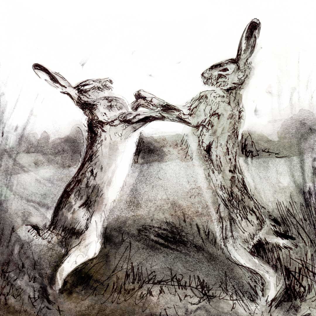 Circe Lucas Fine Art & Illustration