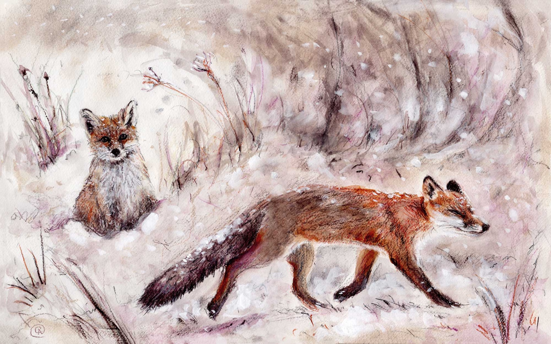 Circe Lucas Art & Illustration