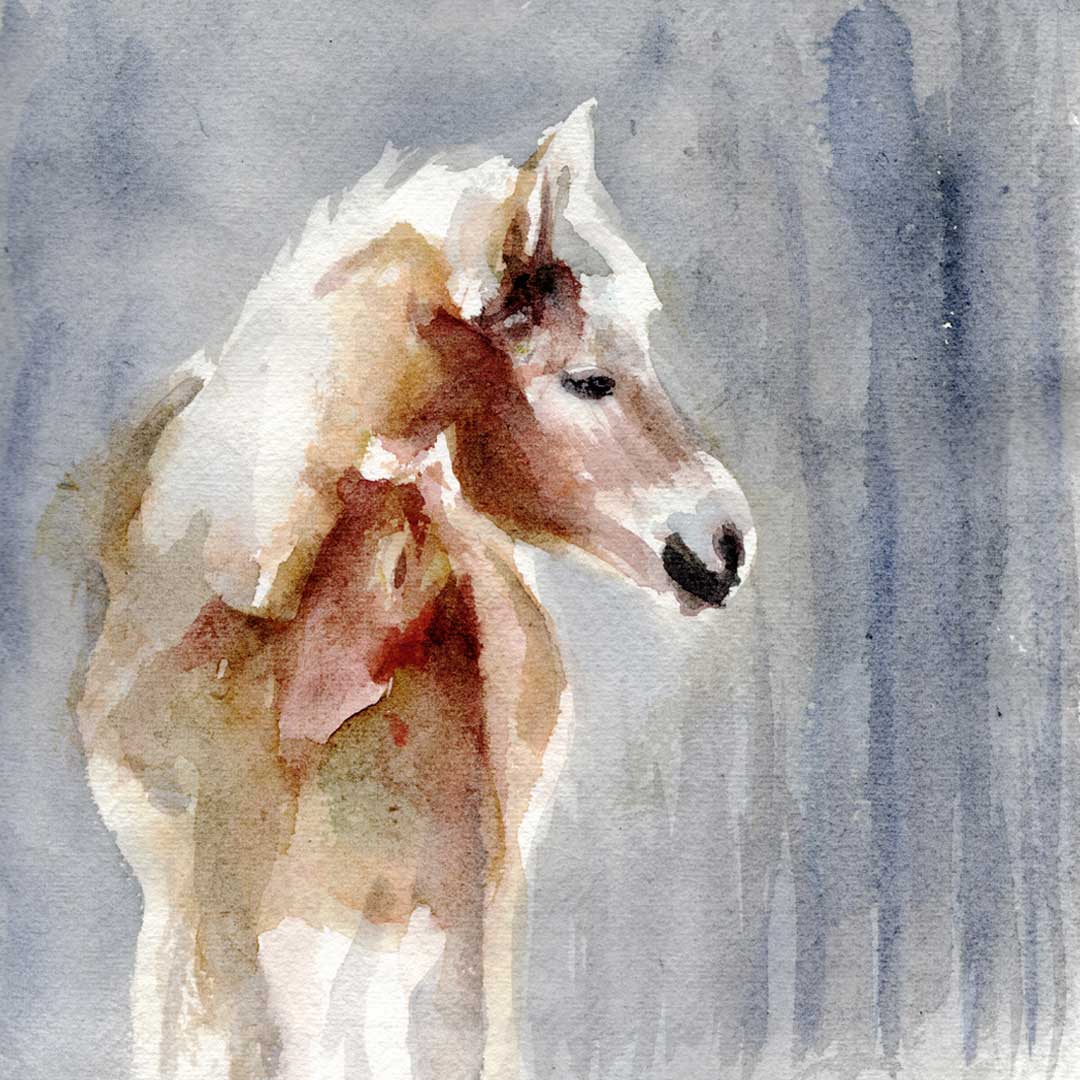 Circe Lucas Fine Art & Illustration