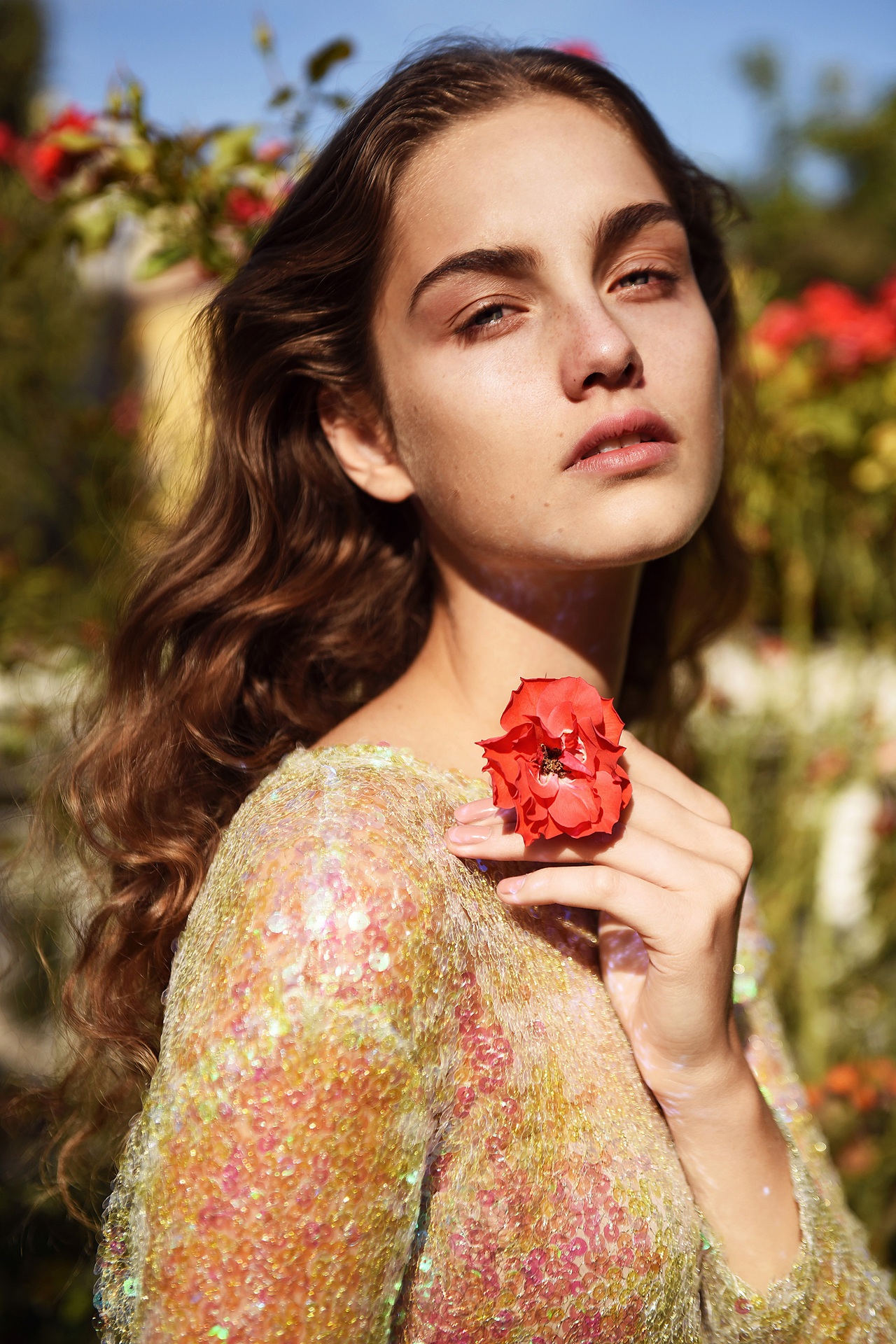 Clara Mayer's Instagram, Twitter & Facebook on IDCrawl