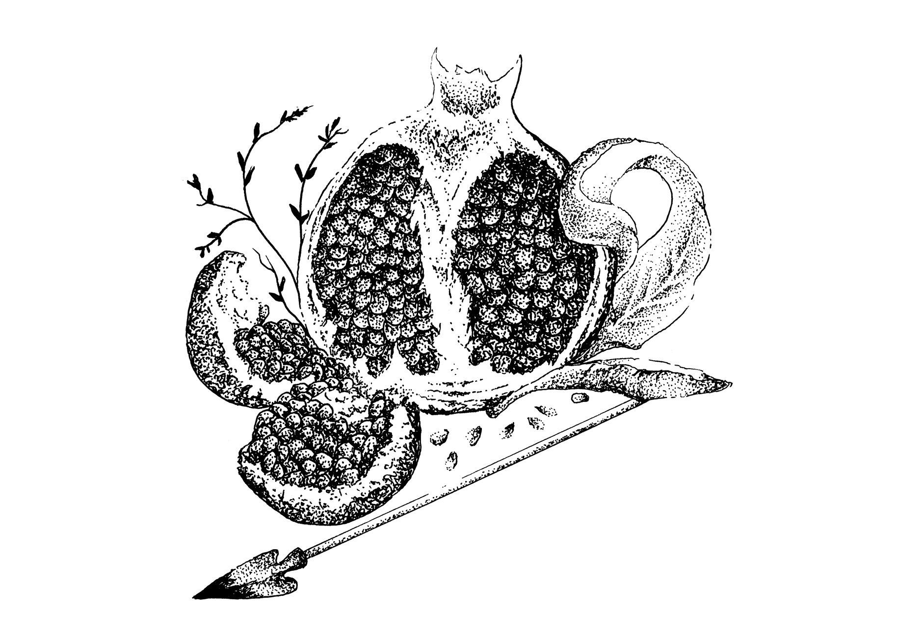 Art and Illustration by Christine Violet