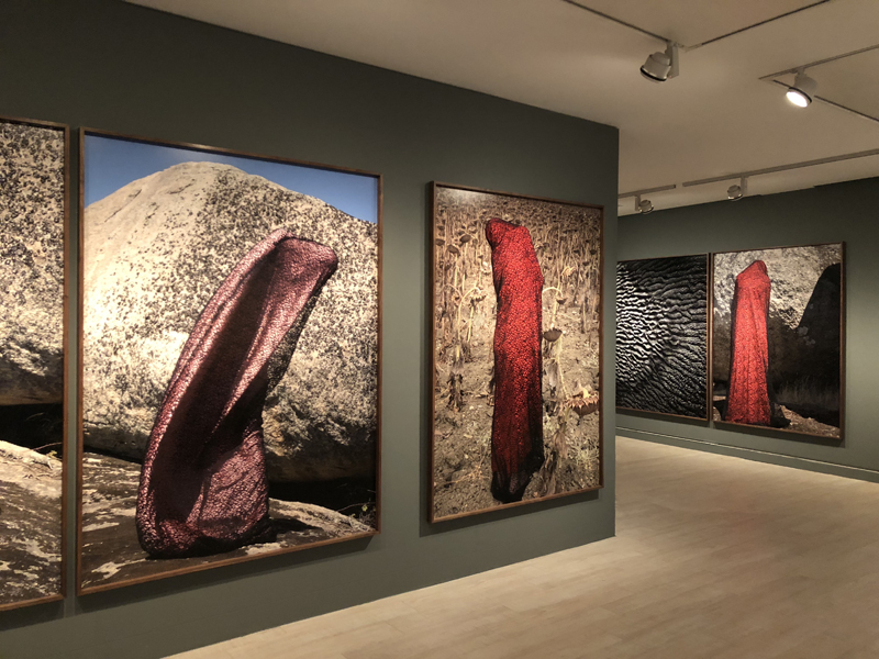 Exhibitions