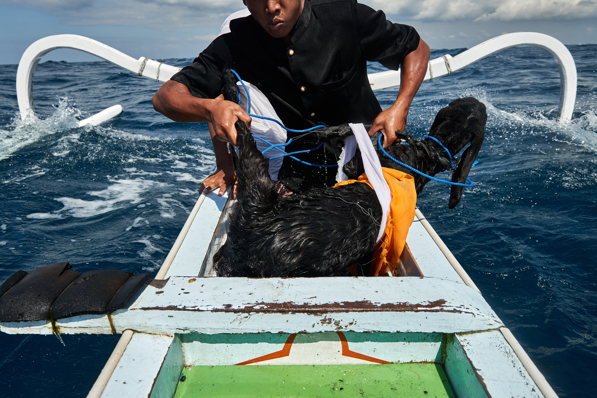 Tamer Tamar documentary photography & journalism