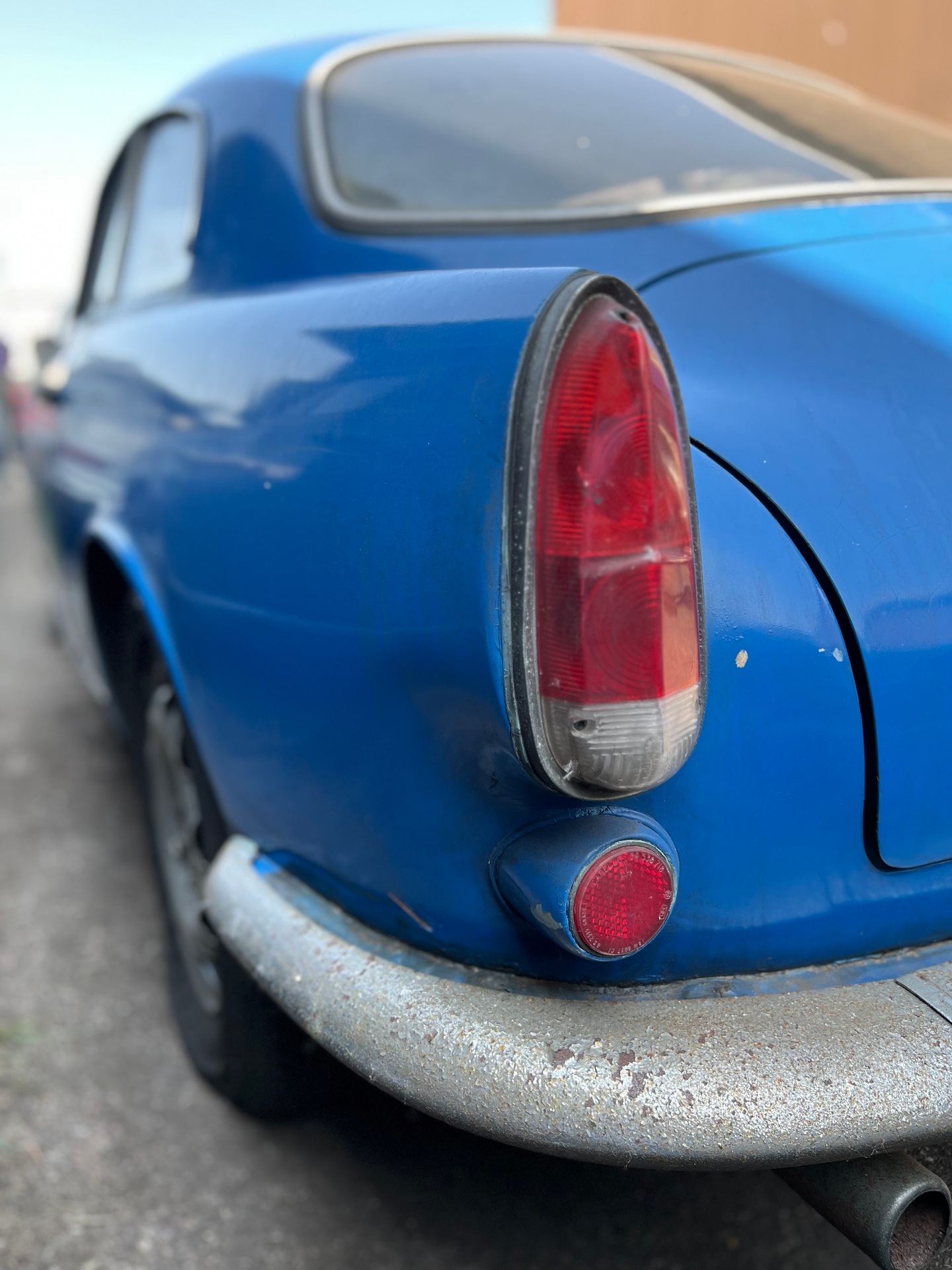 Palmen Barnfind Collection 2023