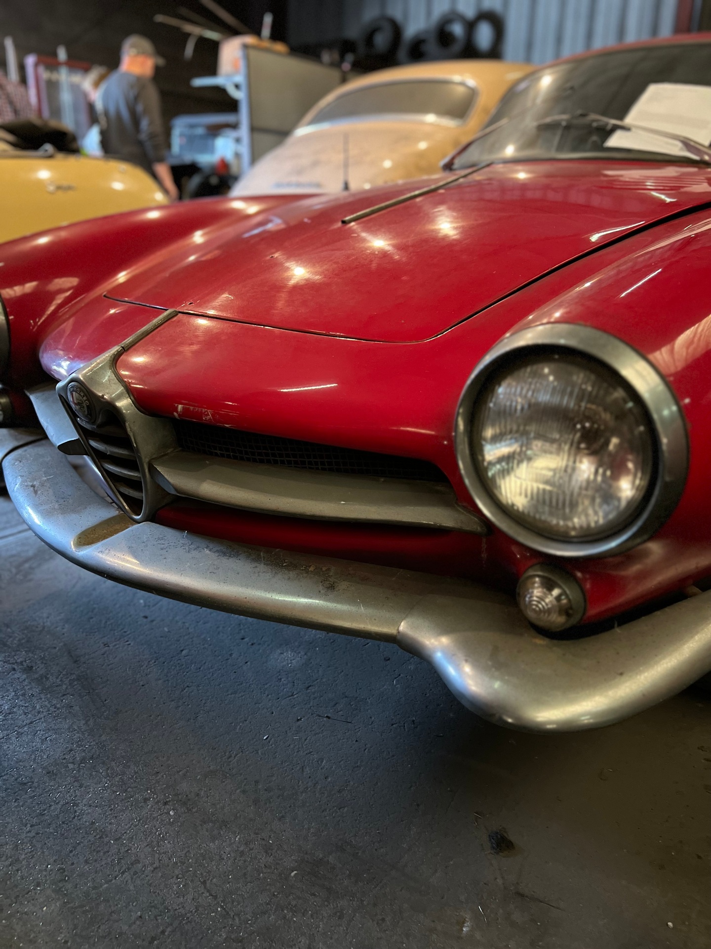 Palmen Barnfind Collection 2023