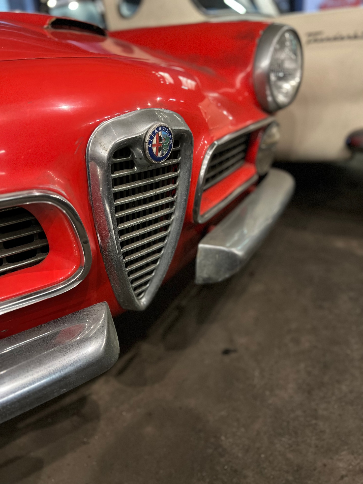 Palmen Barnfind Collection 2023