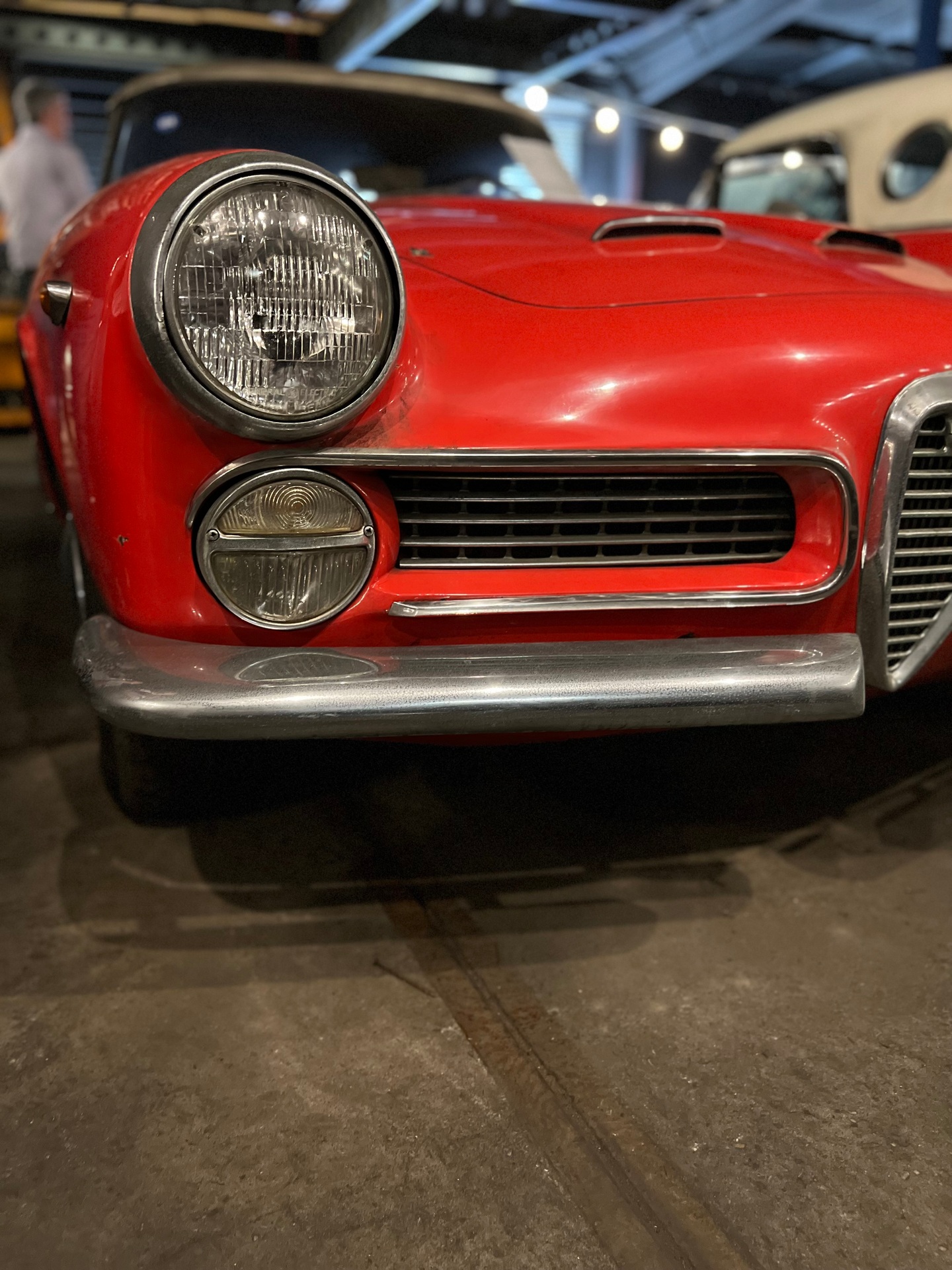 Palmen Barnfind Collection 2023