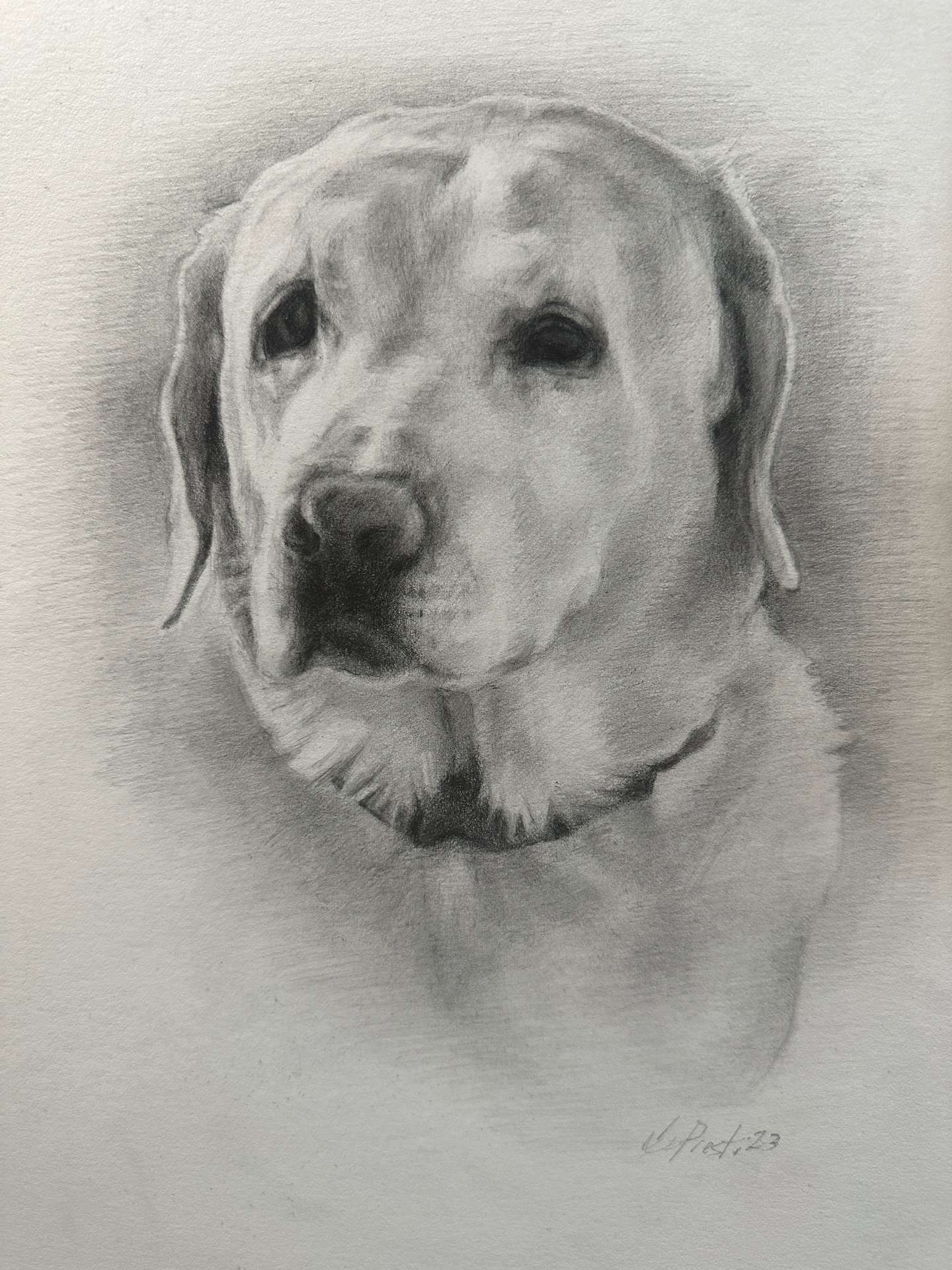 Graphite Portraits - LoPresti Arts