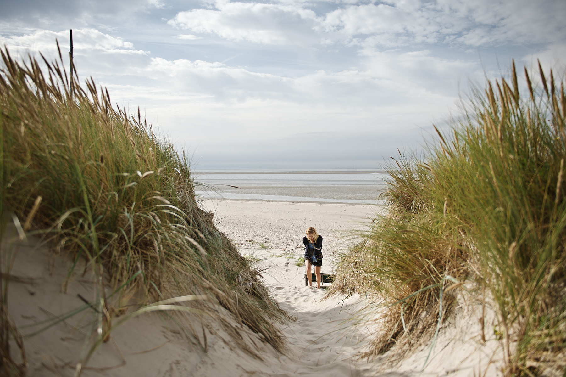 Bird Island Trischen - Mareike Timm | Photo Journalist