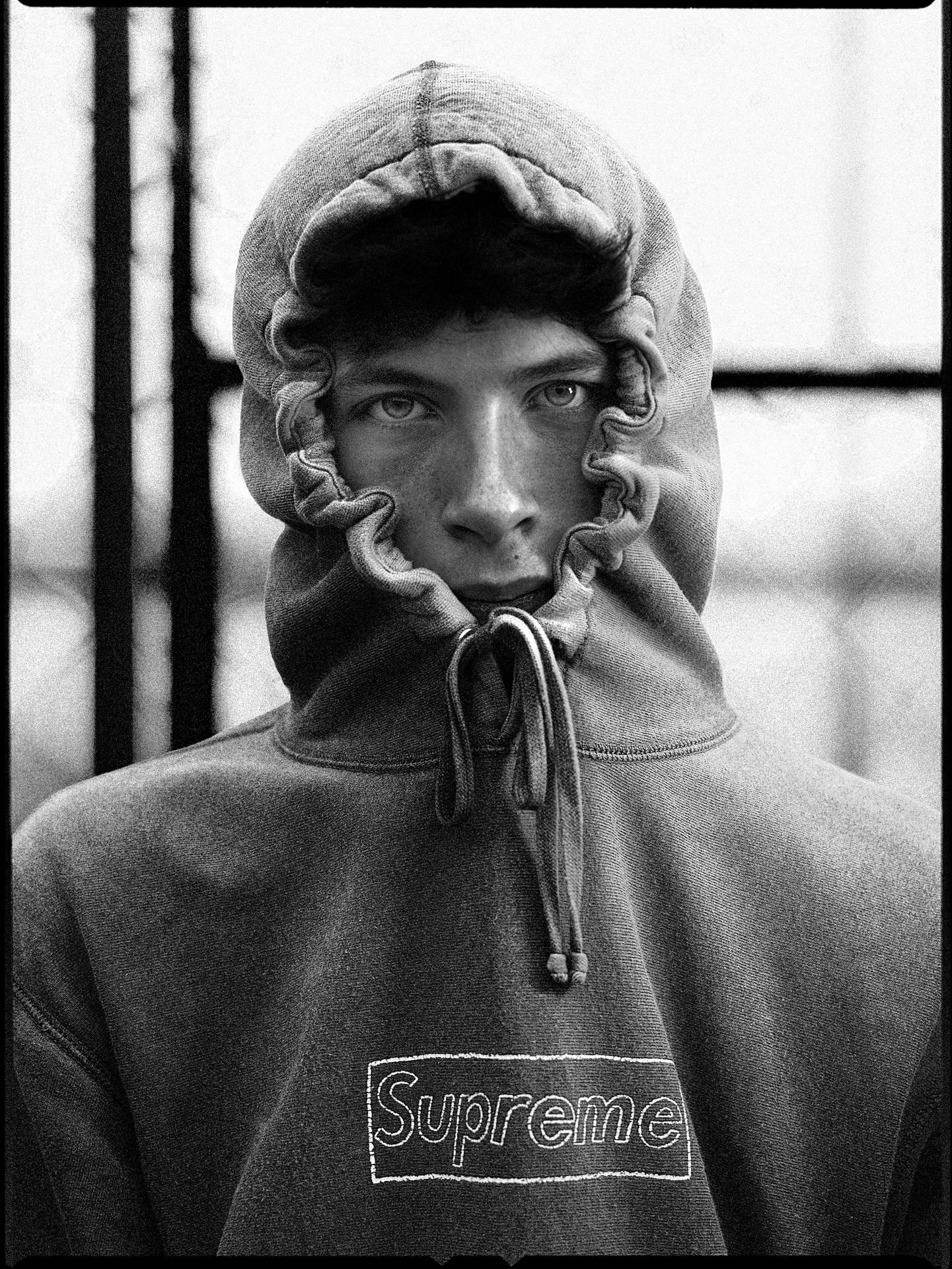 TOBY SHAW PHOTOGRAPHER