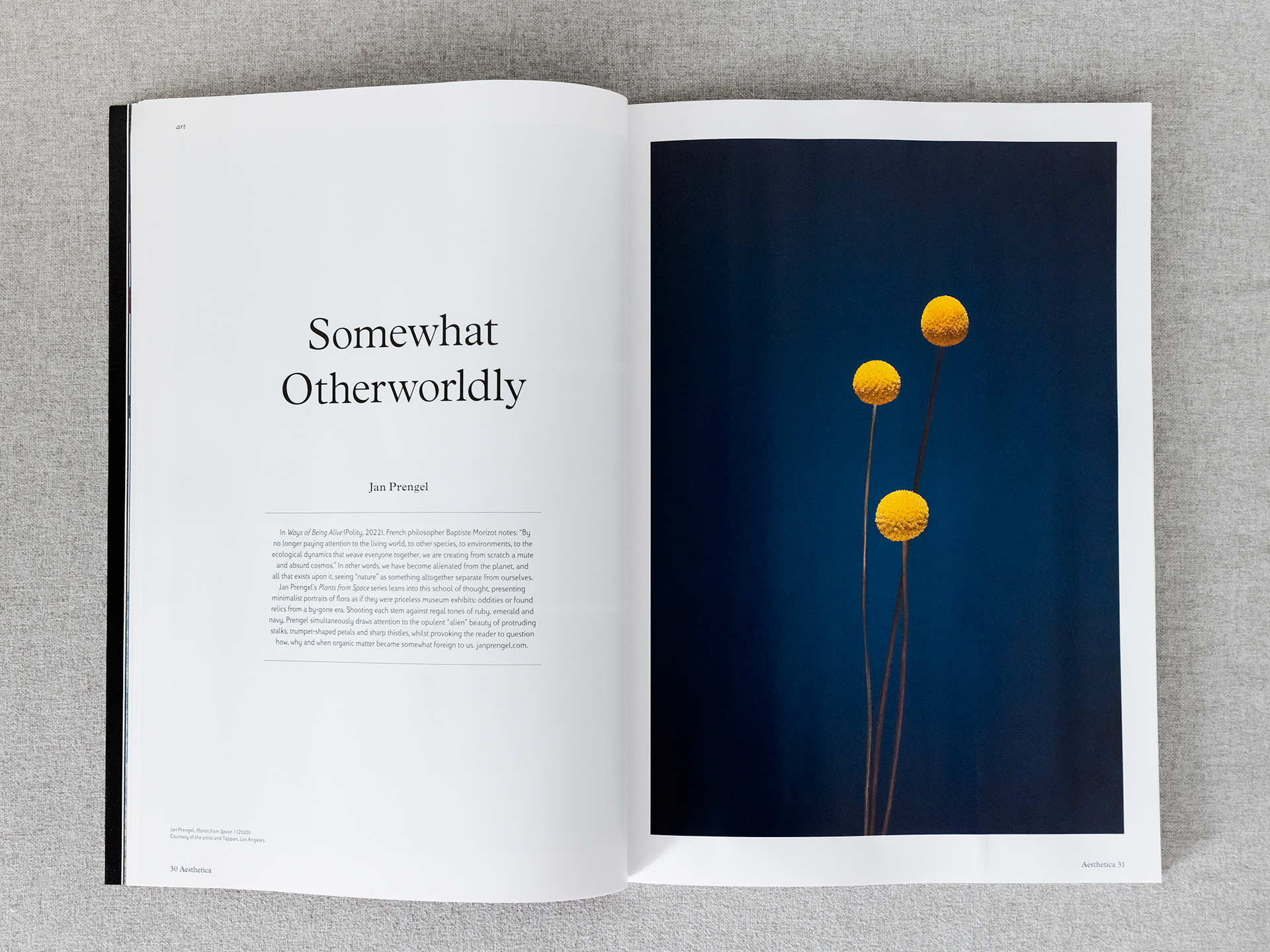Jan Prengel | Photo Artist