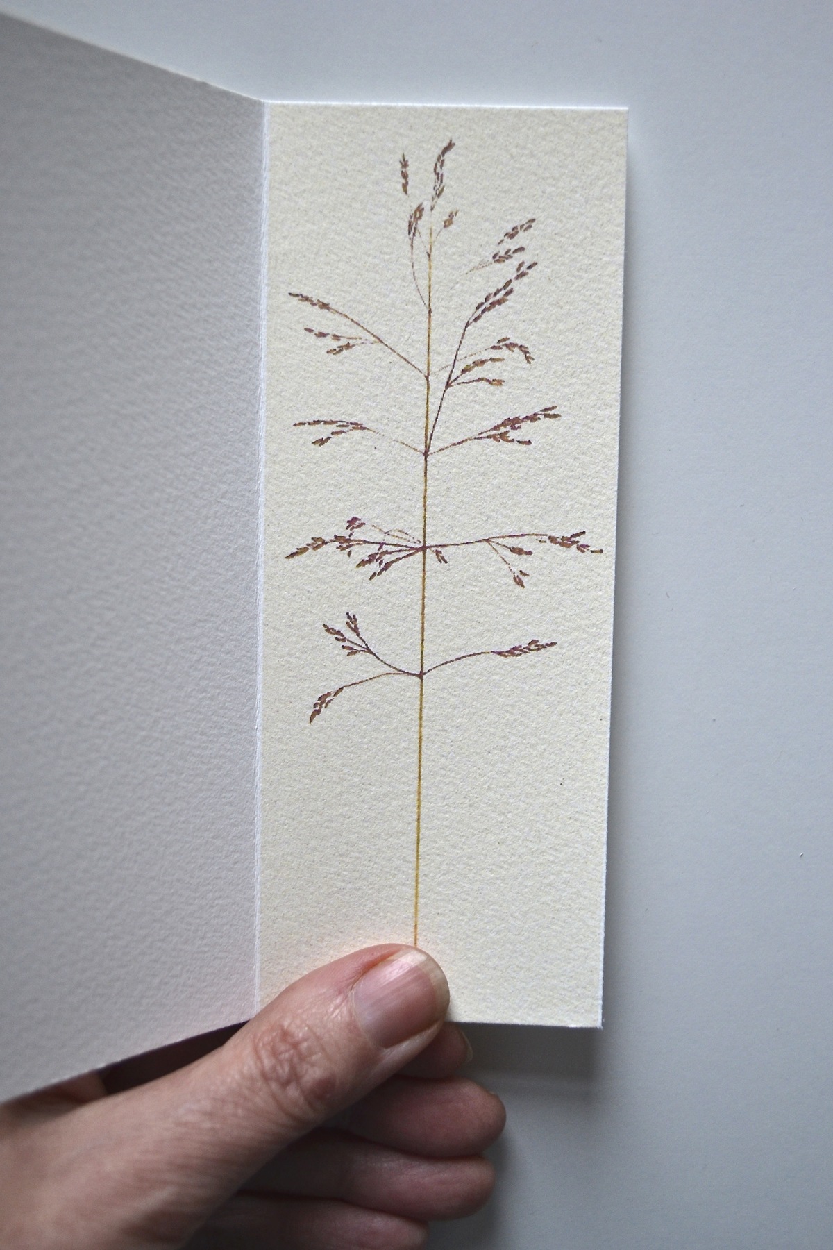 ahsk editions - ahsk editions