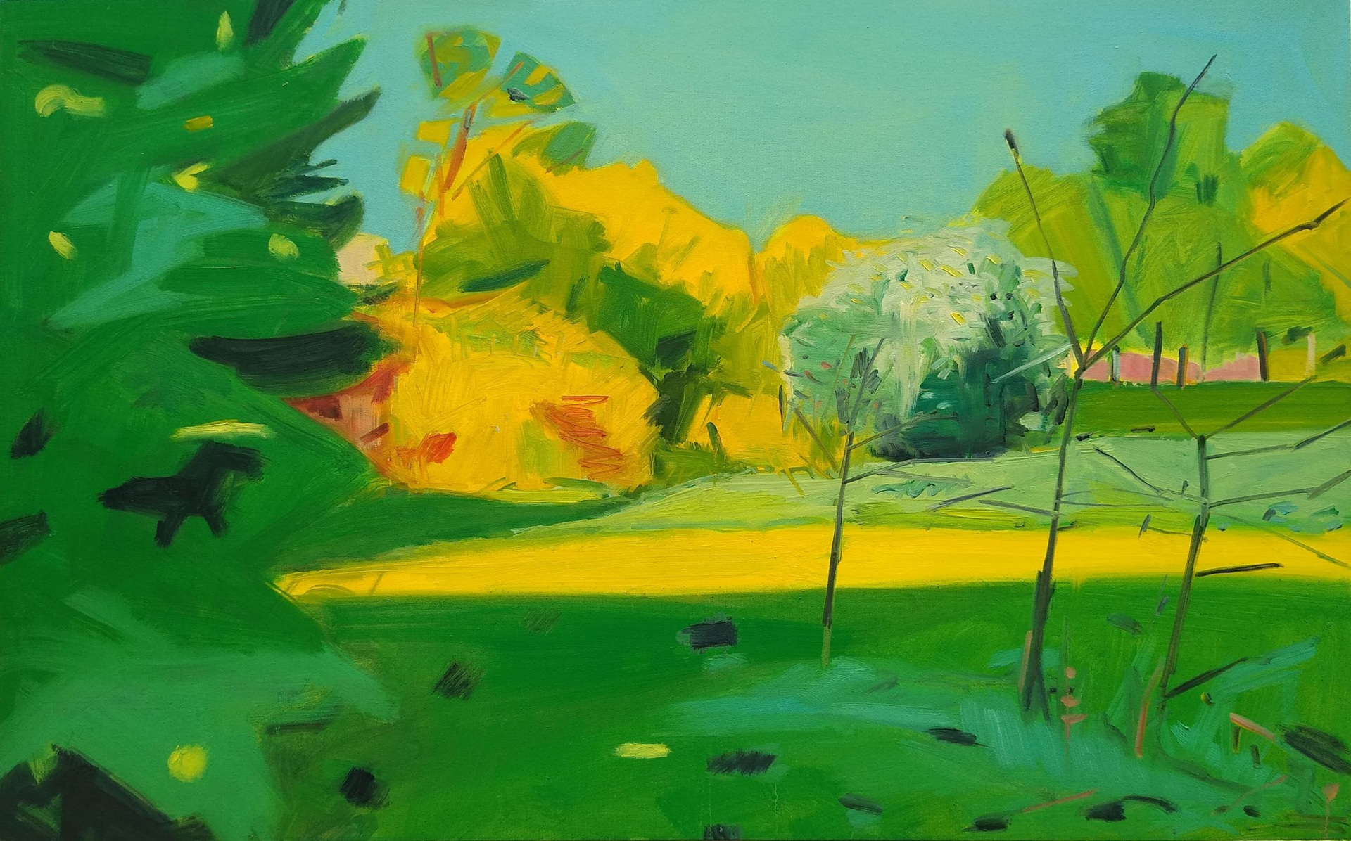 Current Work - Shaun Morris Painter