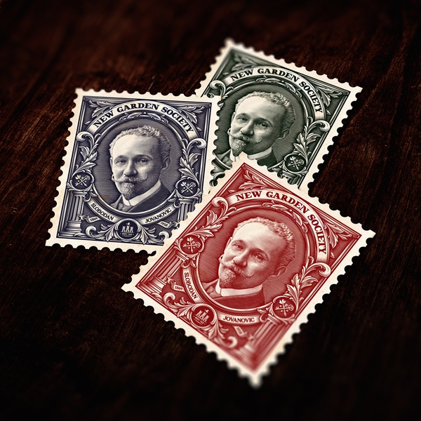 Dalibass Design | Lettering, Illustration, Branding & Packaging