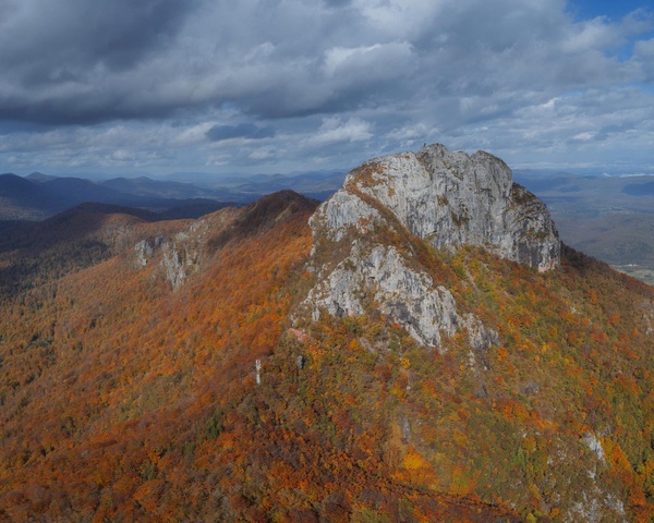 Klek - div iz Ogulina