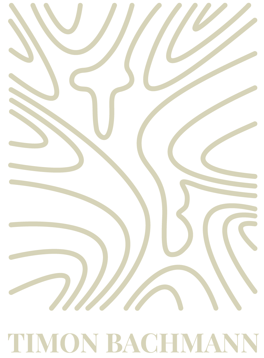 Timon Bachmann Portfolio