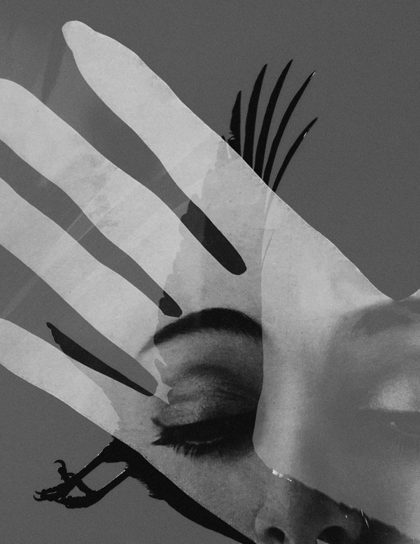 © 2023, Francesco Gioia. All rights reserved.