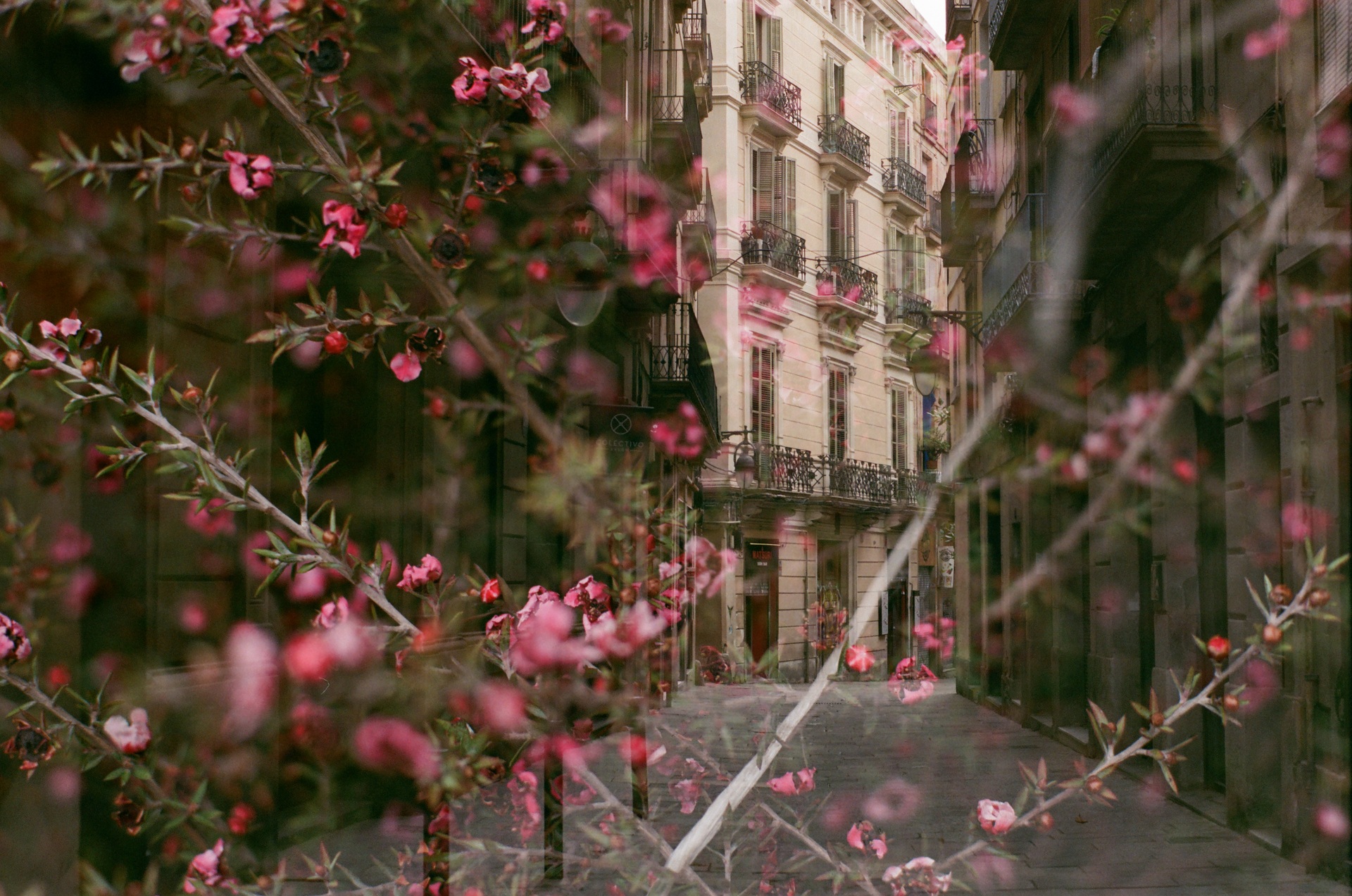 Alexandra OZA - international artist and photographer based in Paris