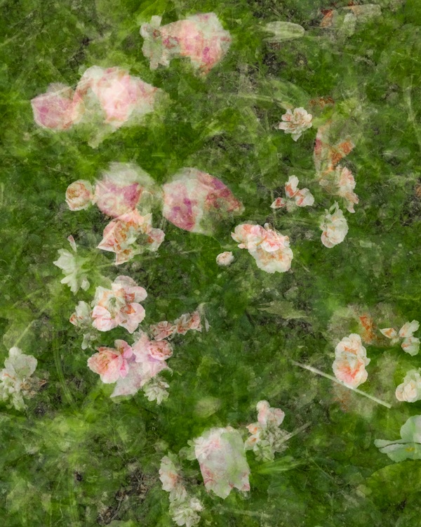 Ke Zheng | Photographer