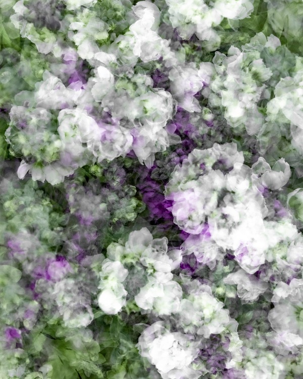 ke zheng gallery fine art portrait info