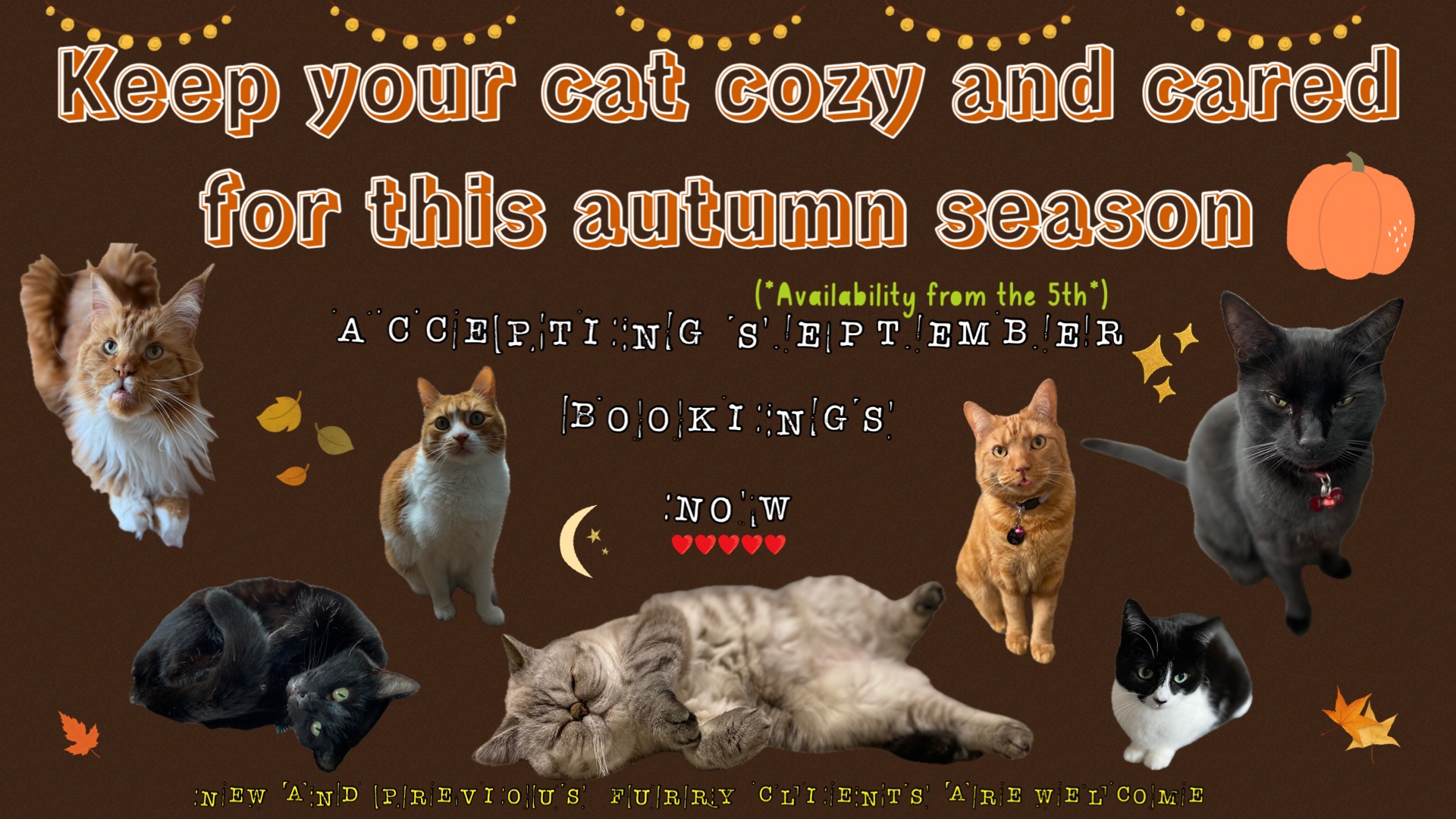 The Tabby and Gabby Cat Sitting Service