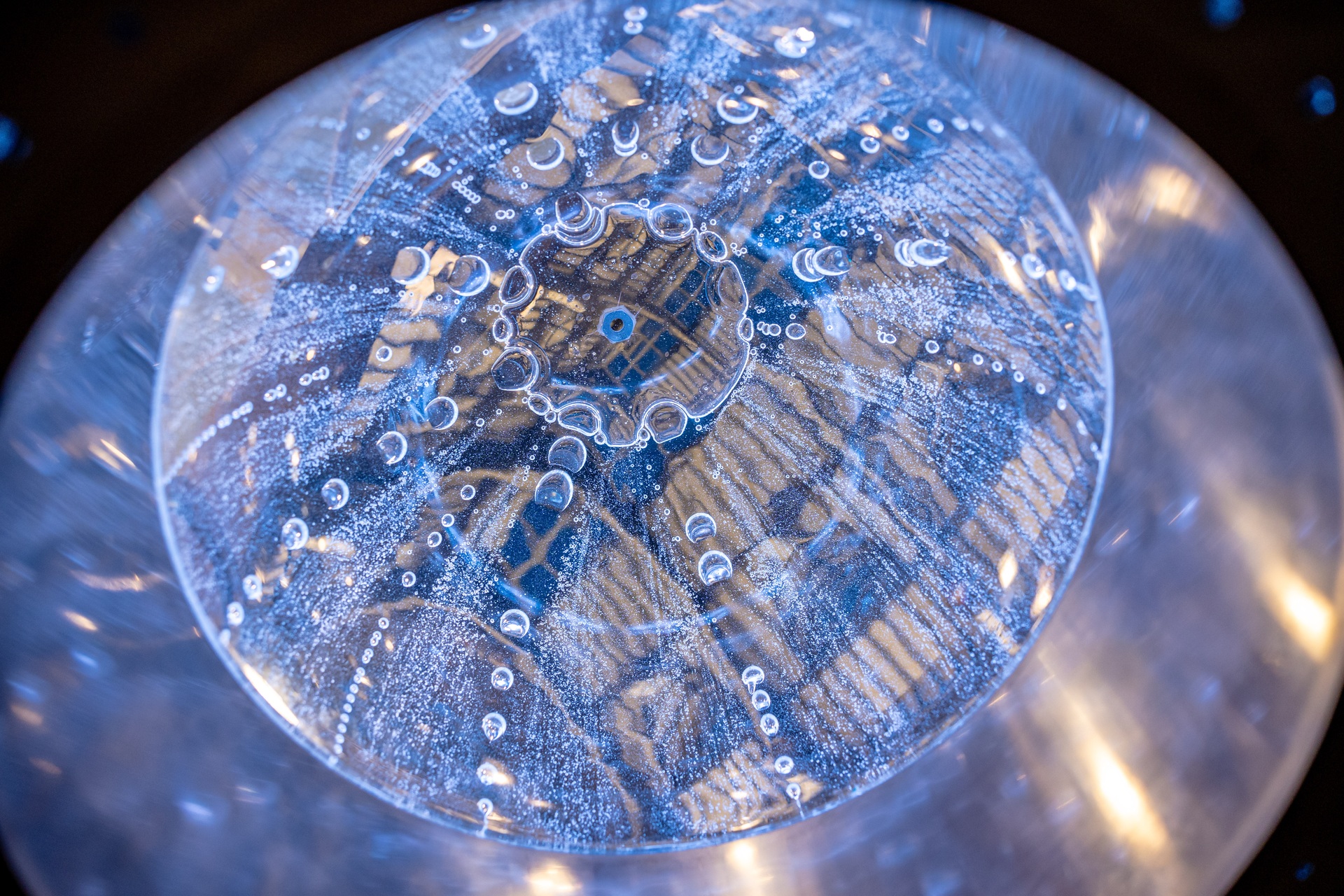 Cat Scott MRSS - Artist