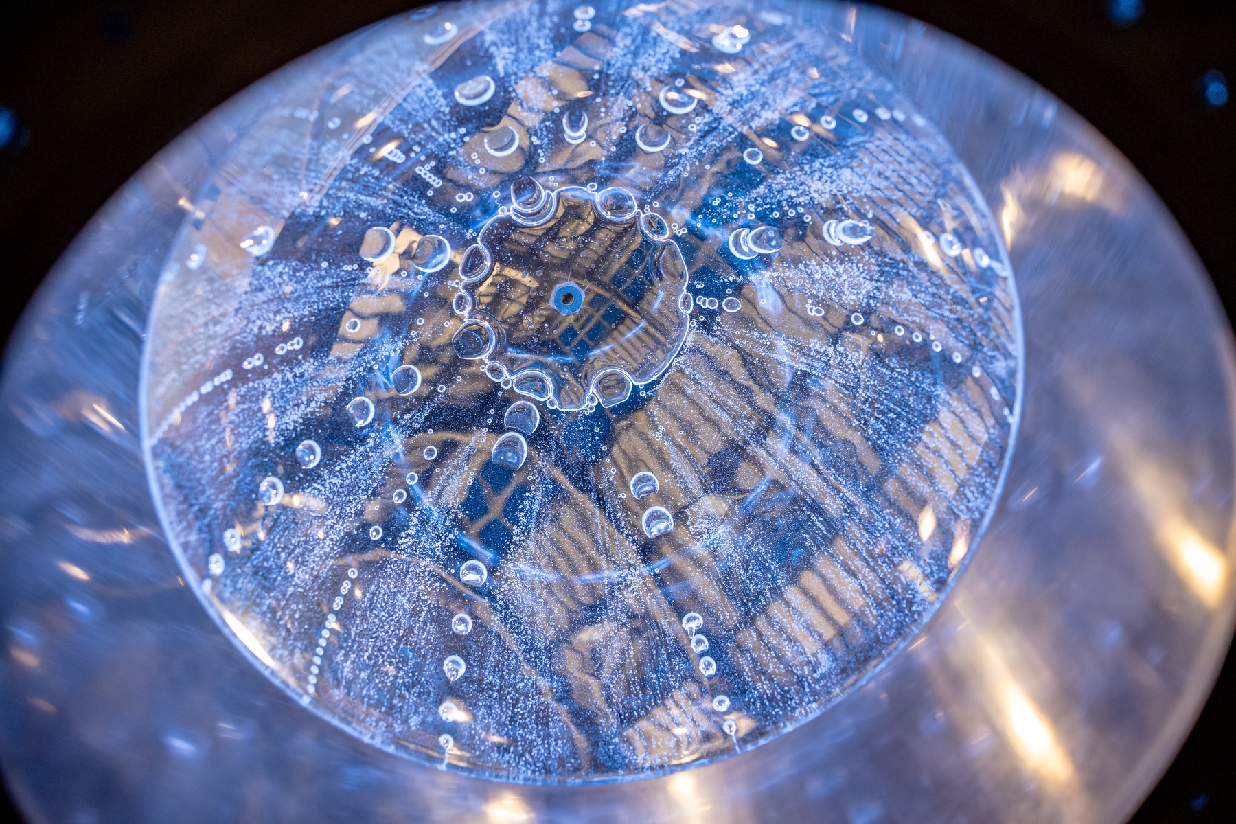 Cat Scott MRSS - Artist