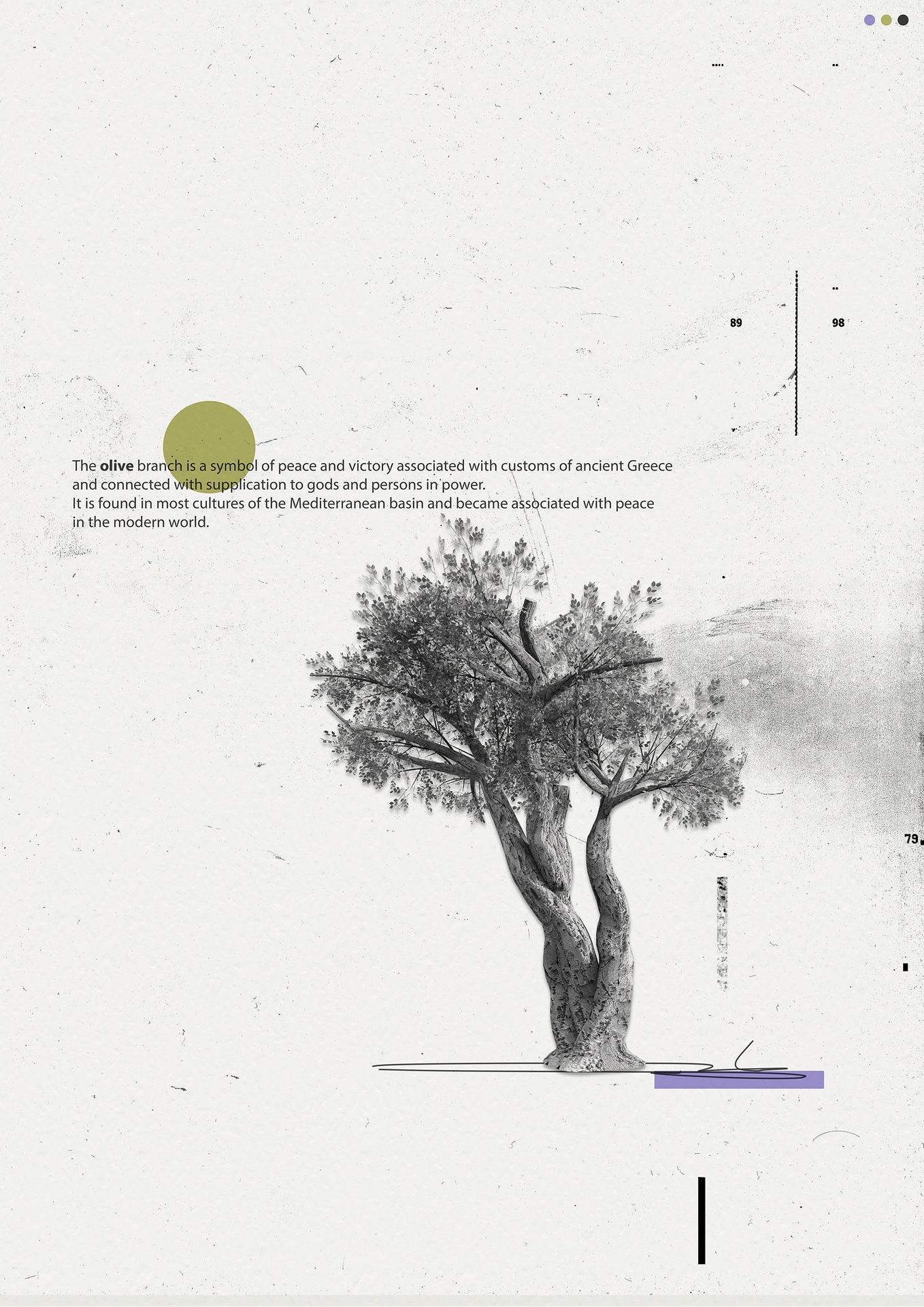 Barbara Gibson - Artist and Visual Designer