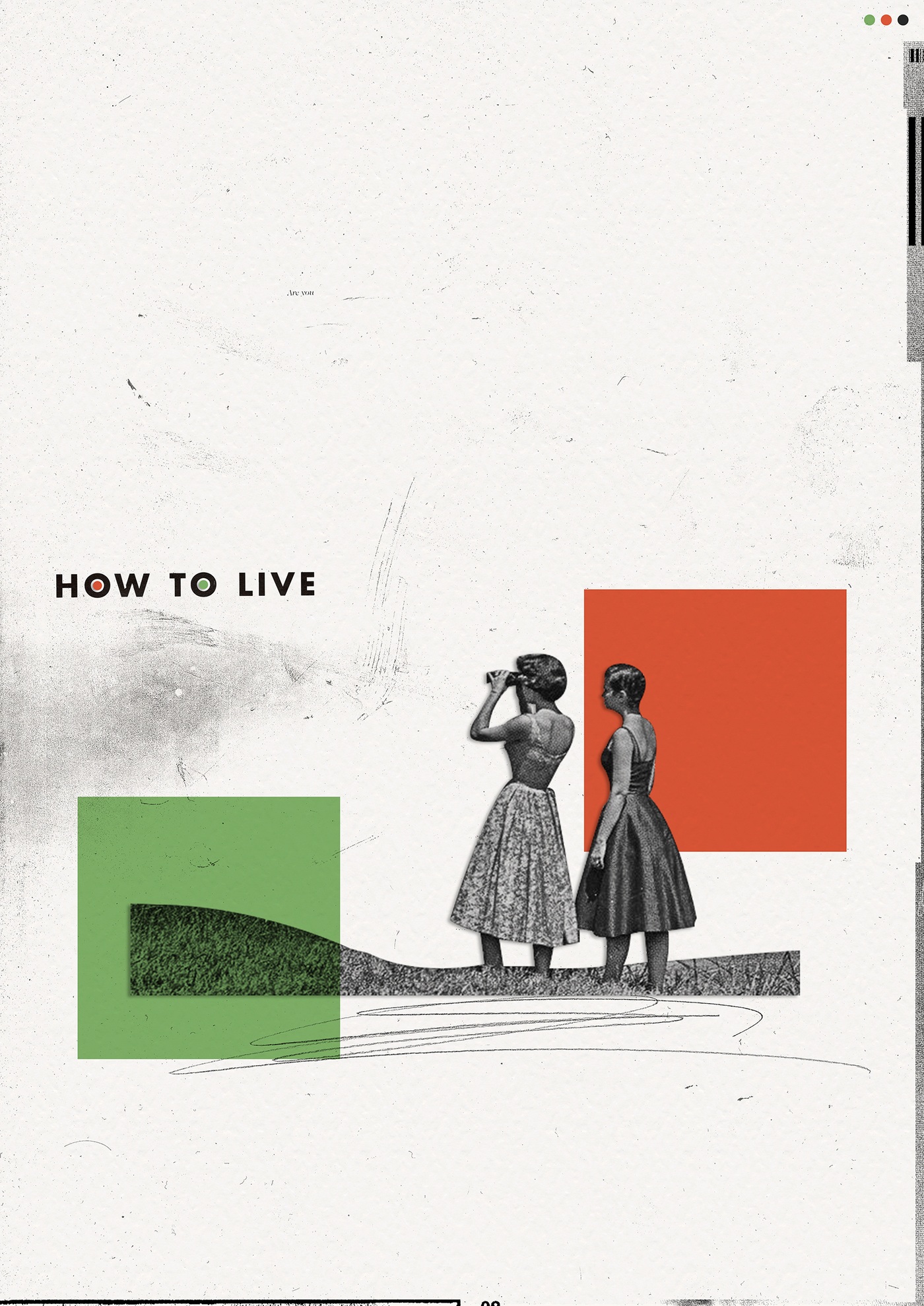 Barbara Gibson - Artist and Visual Designer
