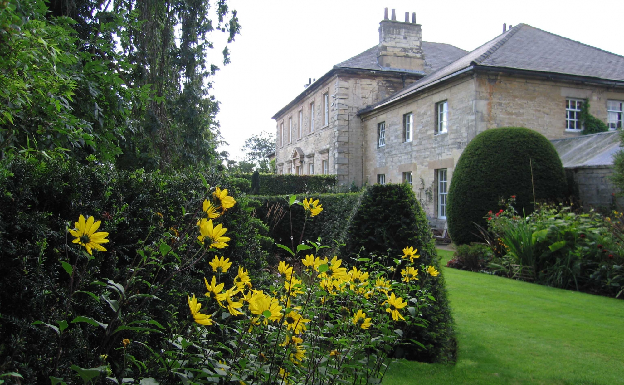 thorp arch garden - plants by design