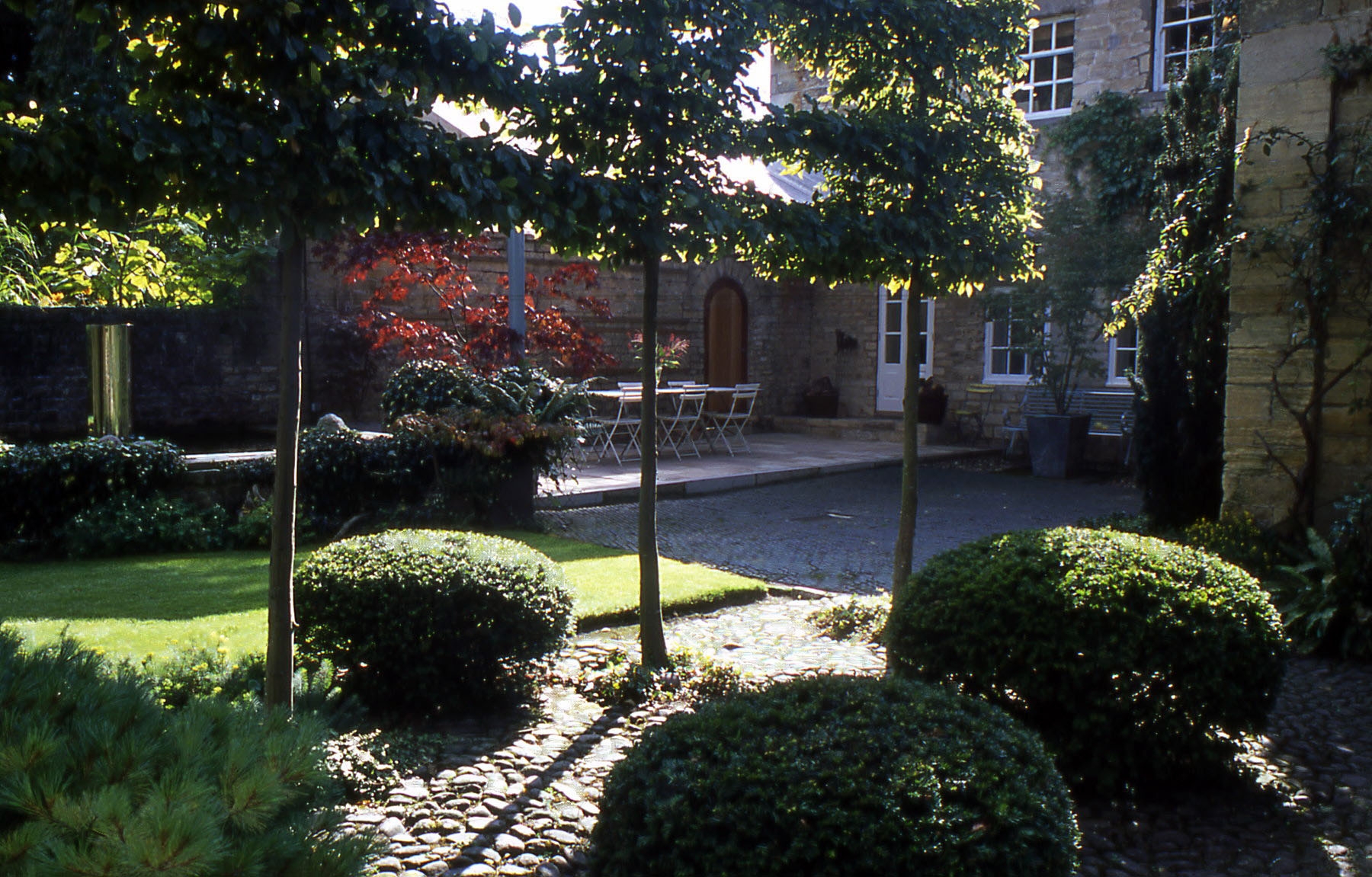 thorp arch garden - plants by design