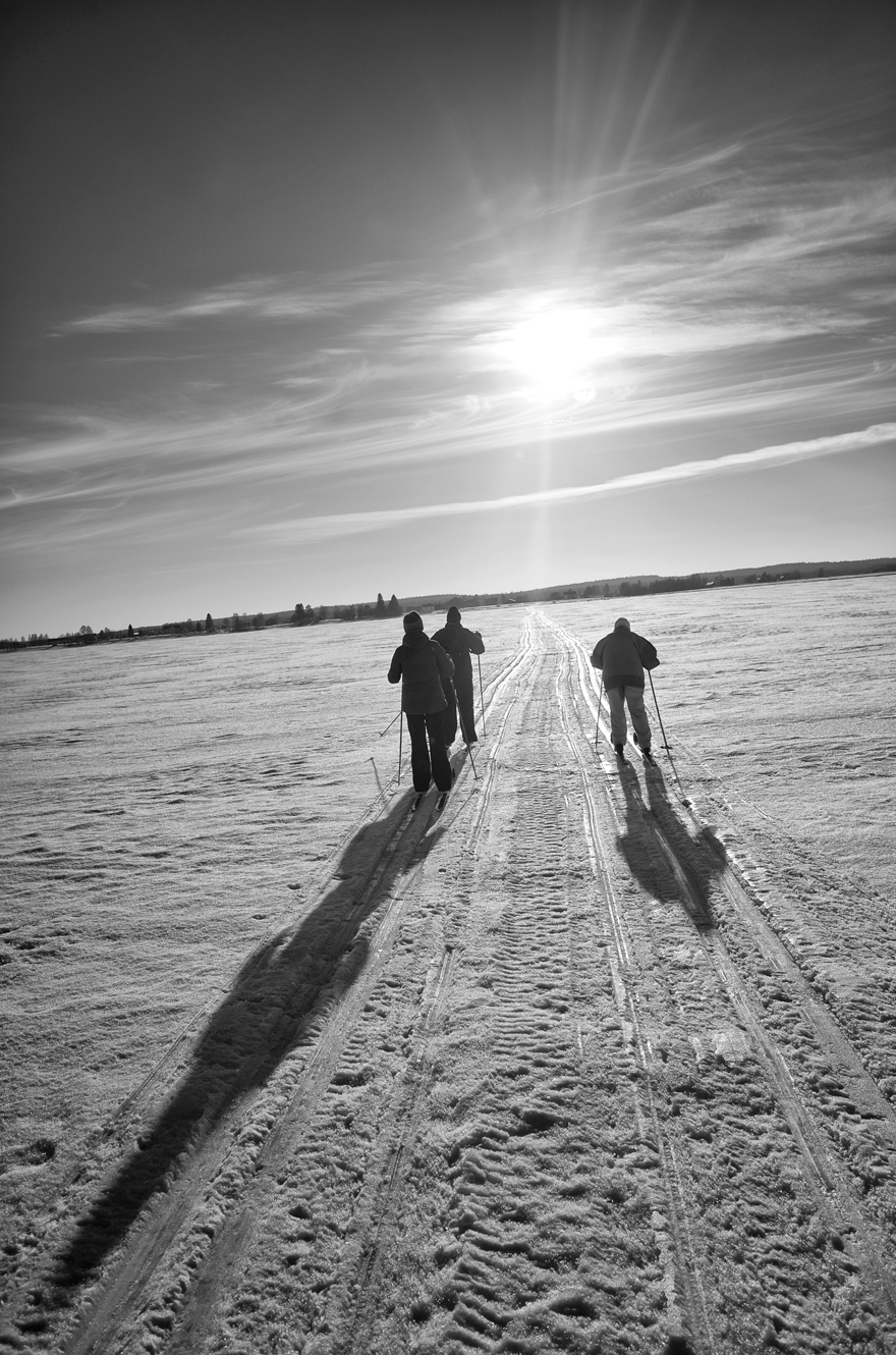 Anders Alm - Jorden Han ärvde - Sök Fotograf