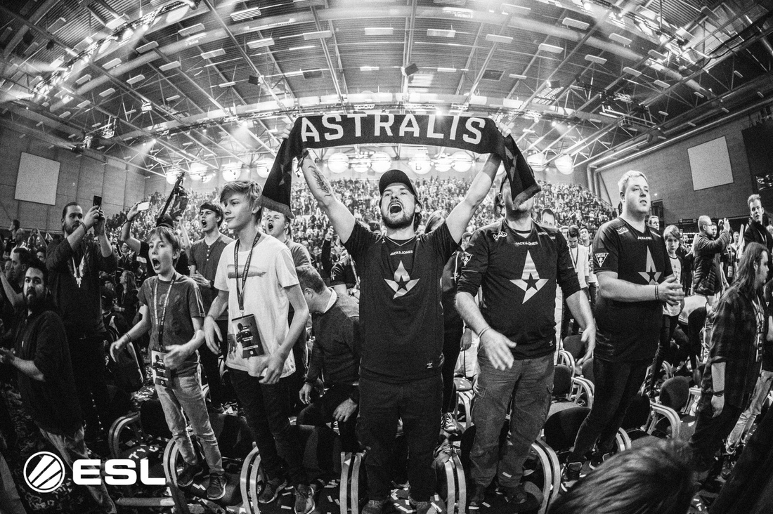 Stephanie Lindgren Photography