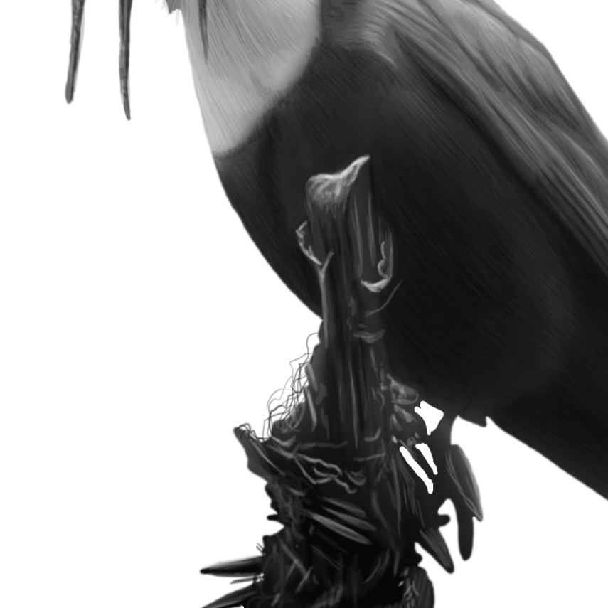 Scientific illustration