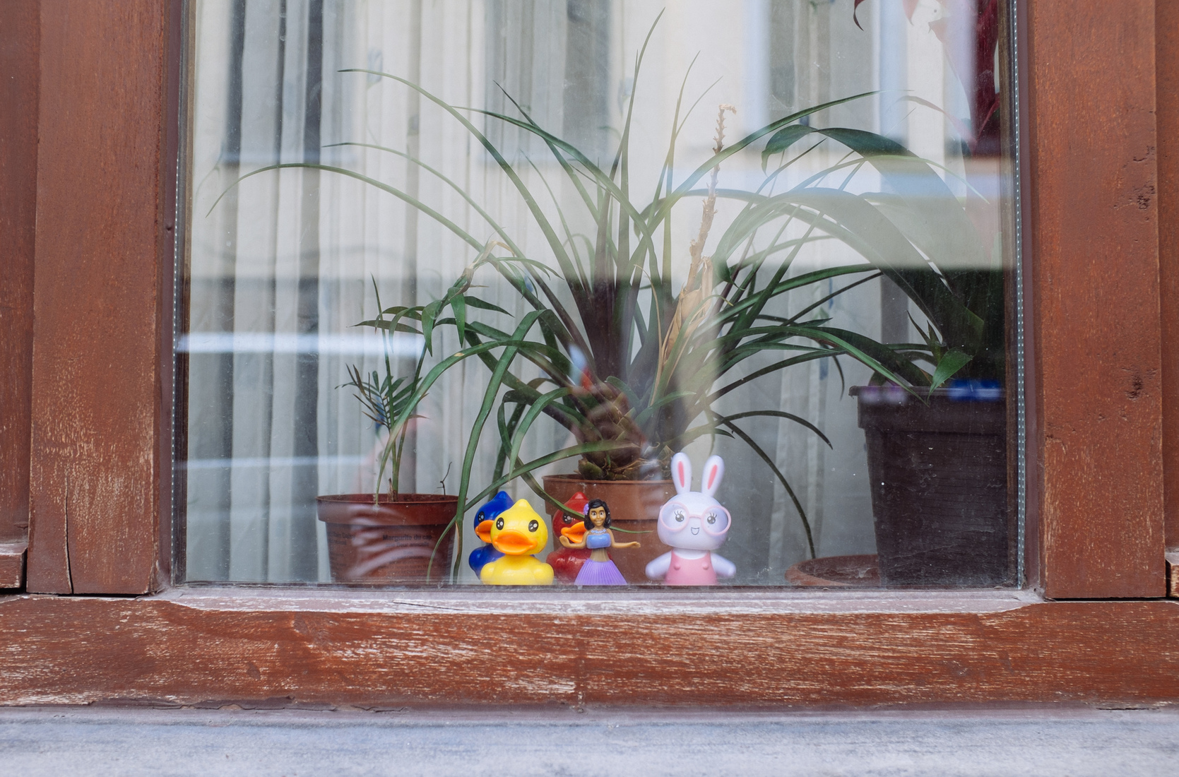 Behind Belgian Windows