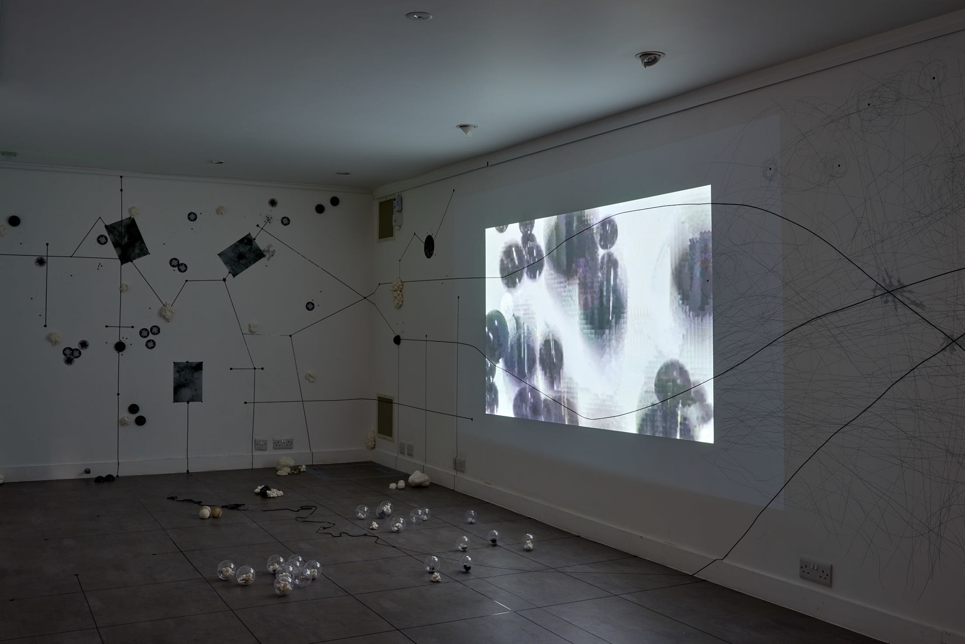 Judith Alder - artist based in the UK