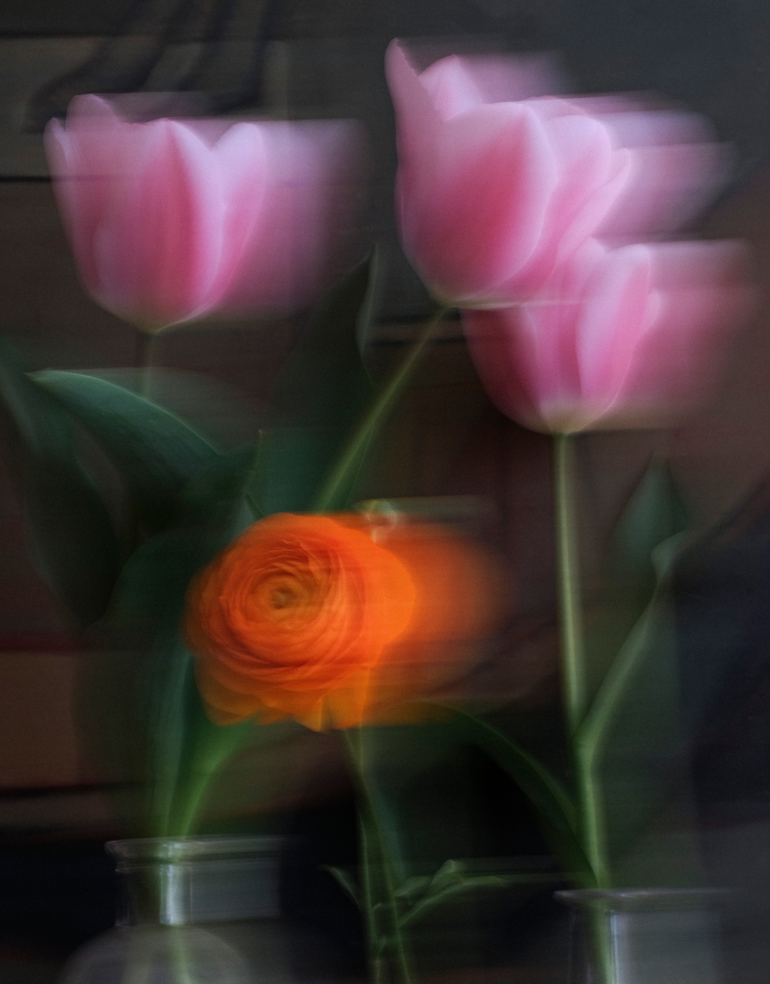 Flowers behind windows