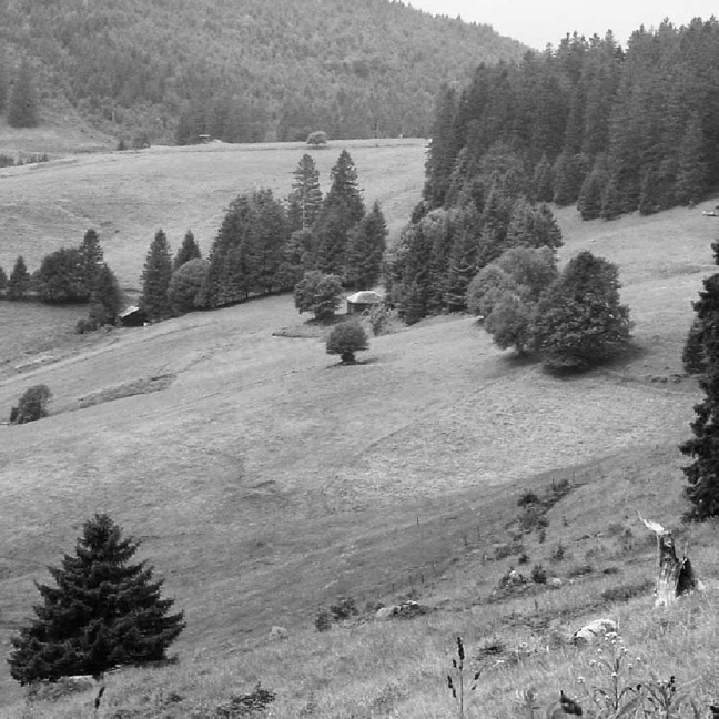 Being a Landscape: Martin Heidegger