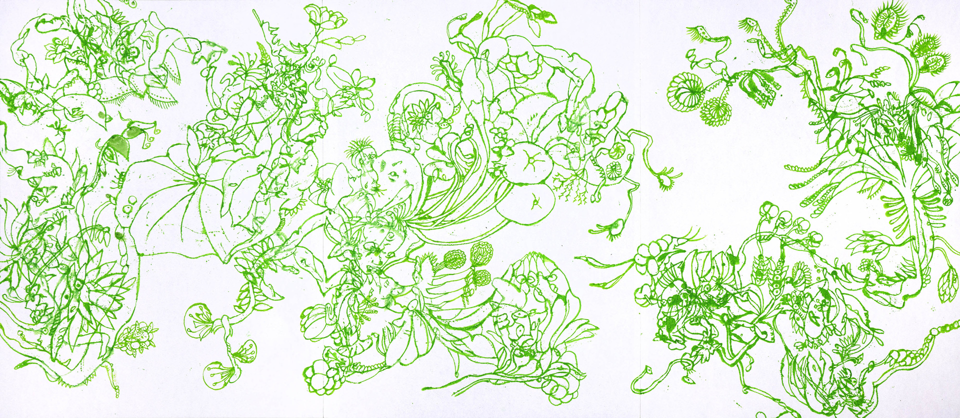 Introduced Species Drawing