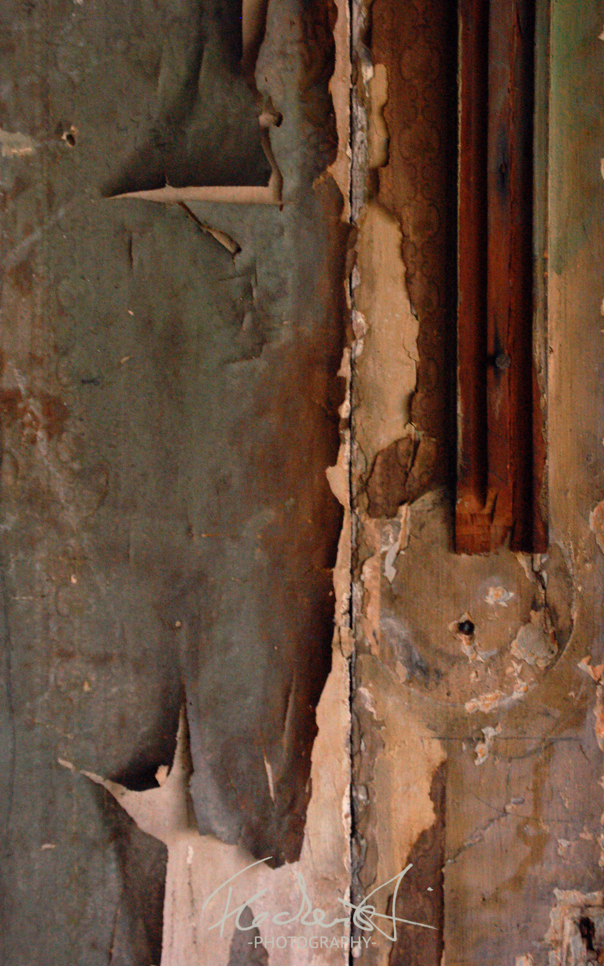 Daniela Fleckenstein