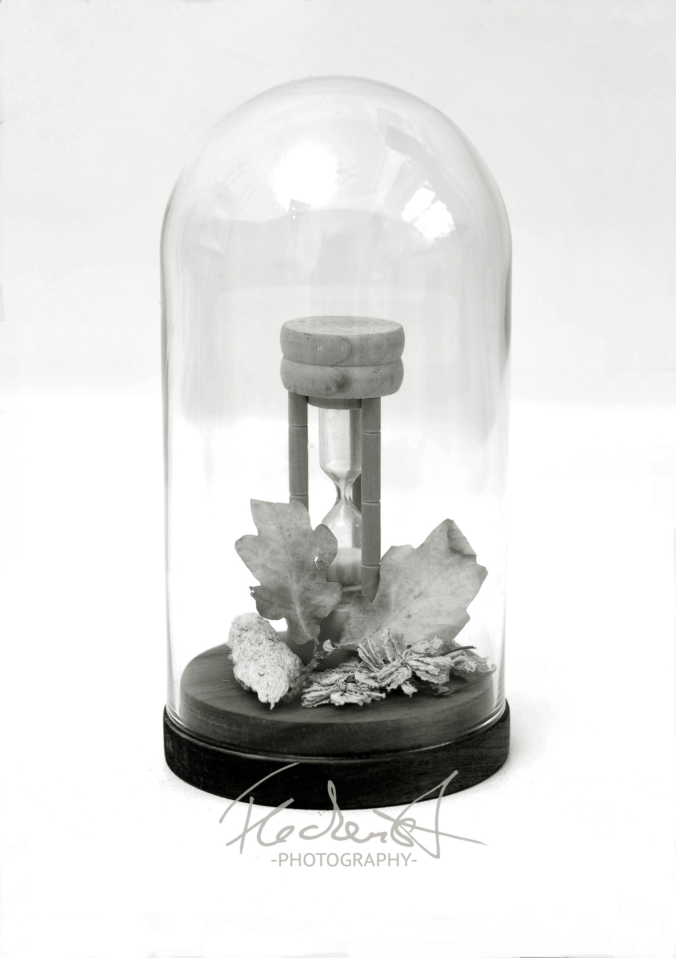 Daniela Fleckenstein