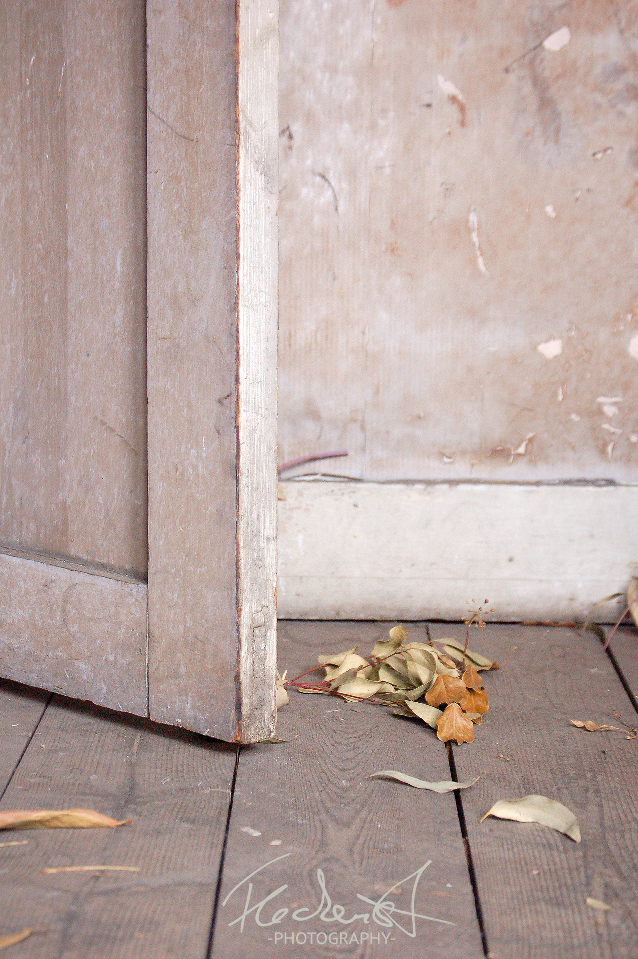 Daniela Fleckenstein